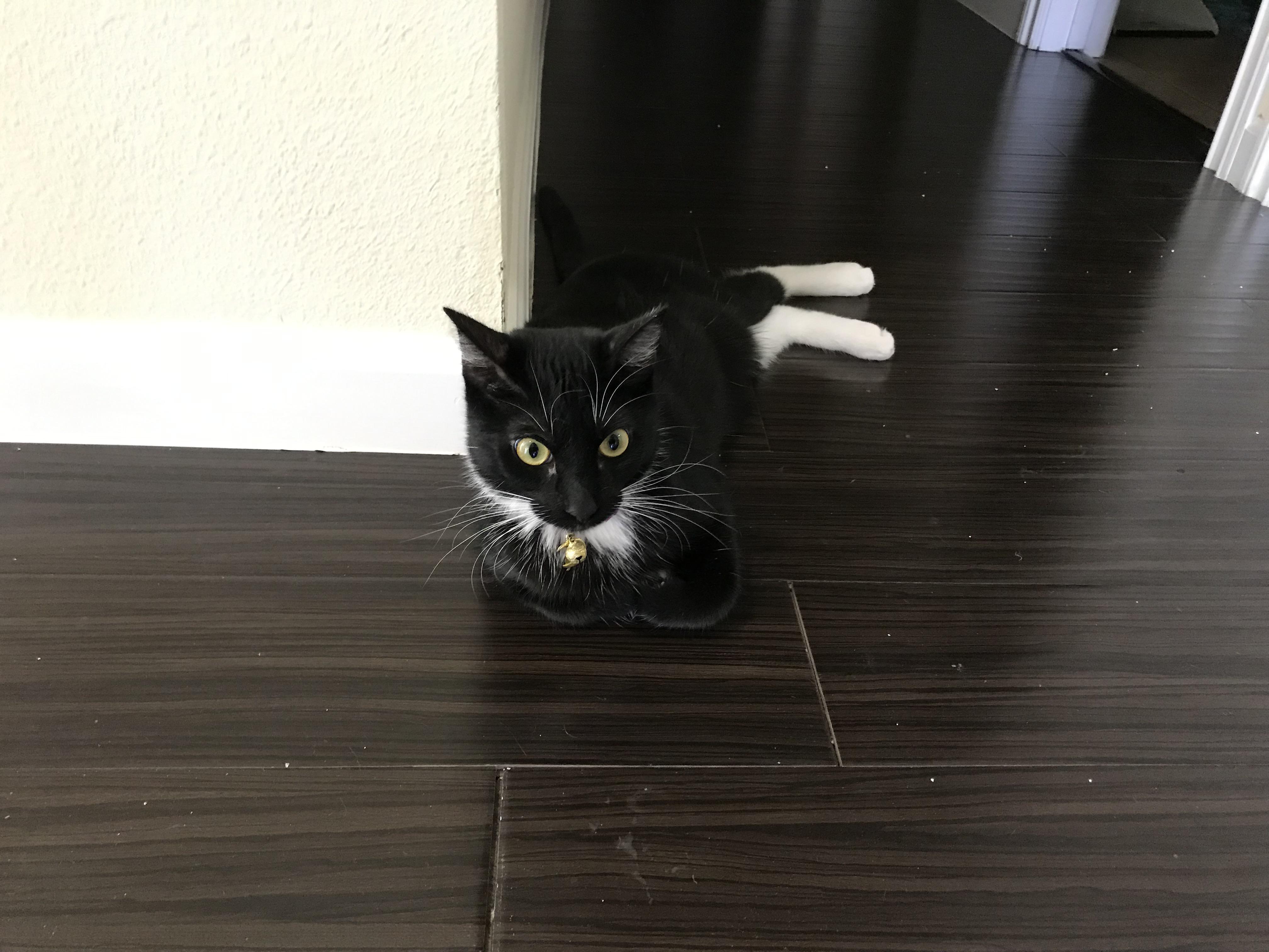 Mr. Hands half loafin | Scrolller