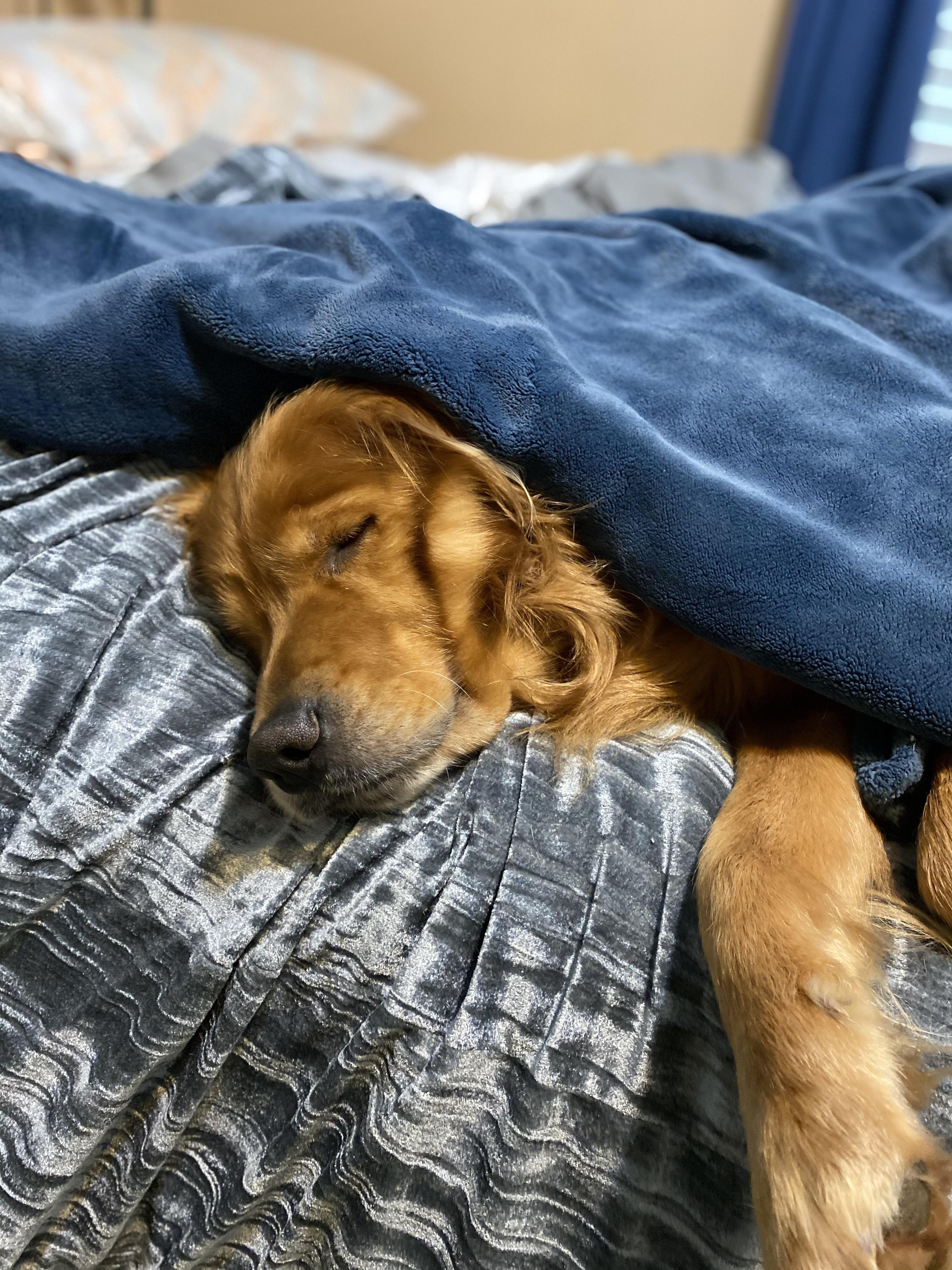 Mr squish taking his naps | Scrolller