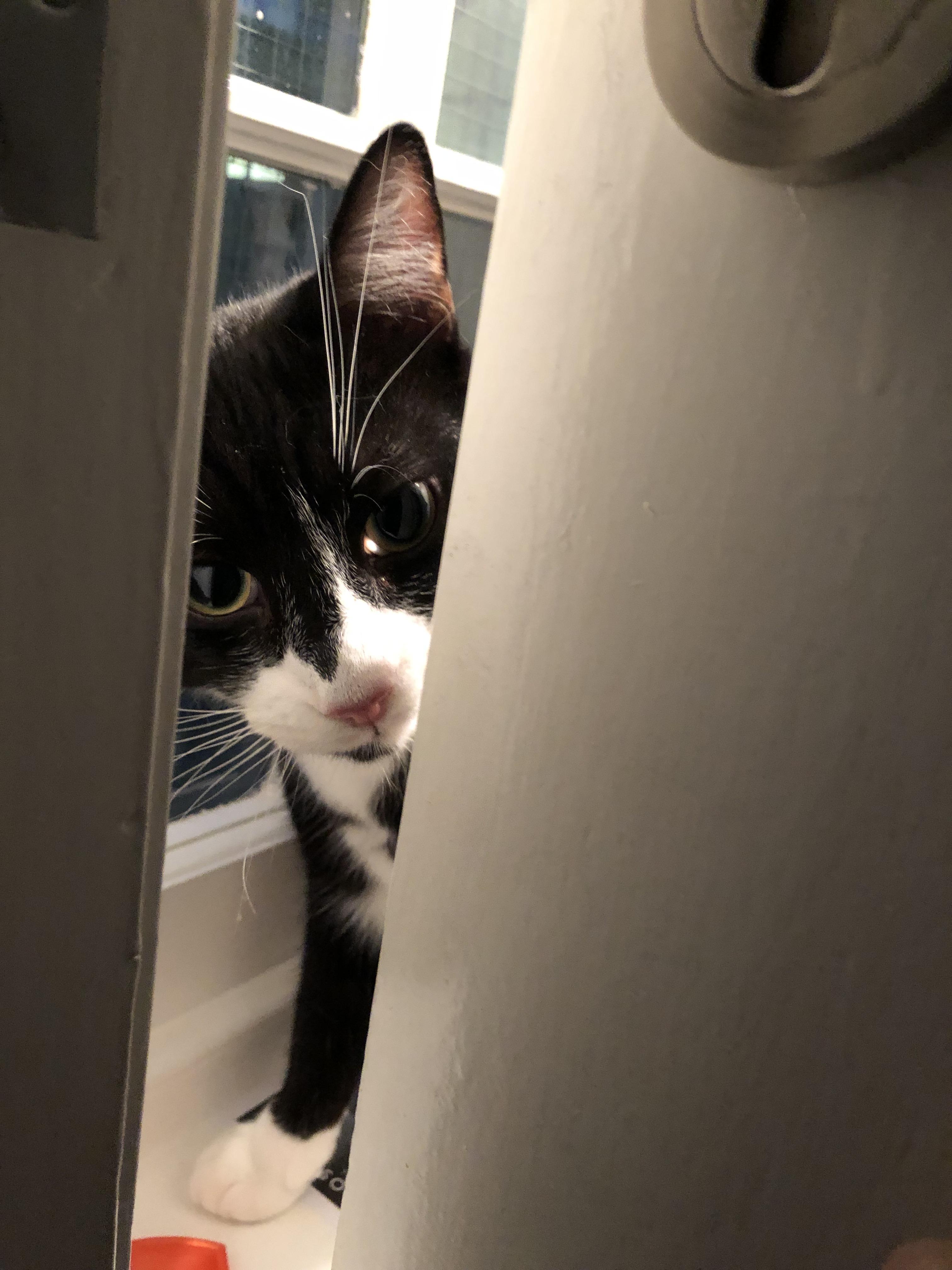 Mr taking a peep 👀 | Scrolller