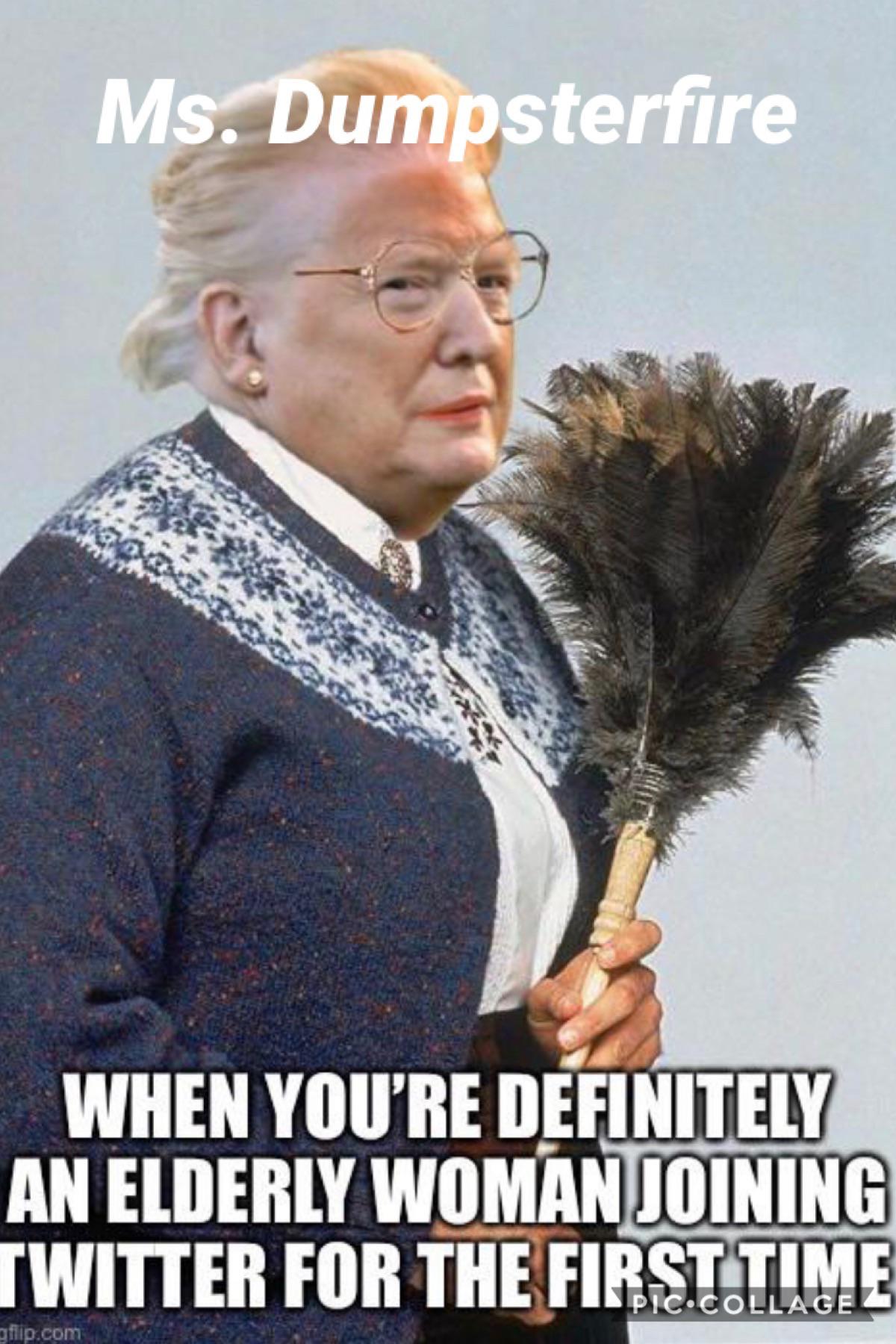 Mrs. Dumpsterfire | Scrolller