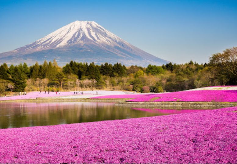 Mt. Fuji | Scrolller