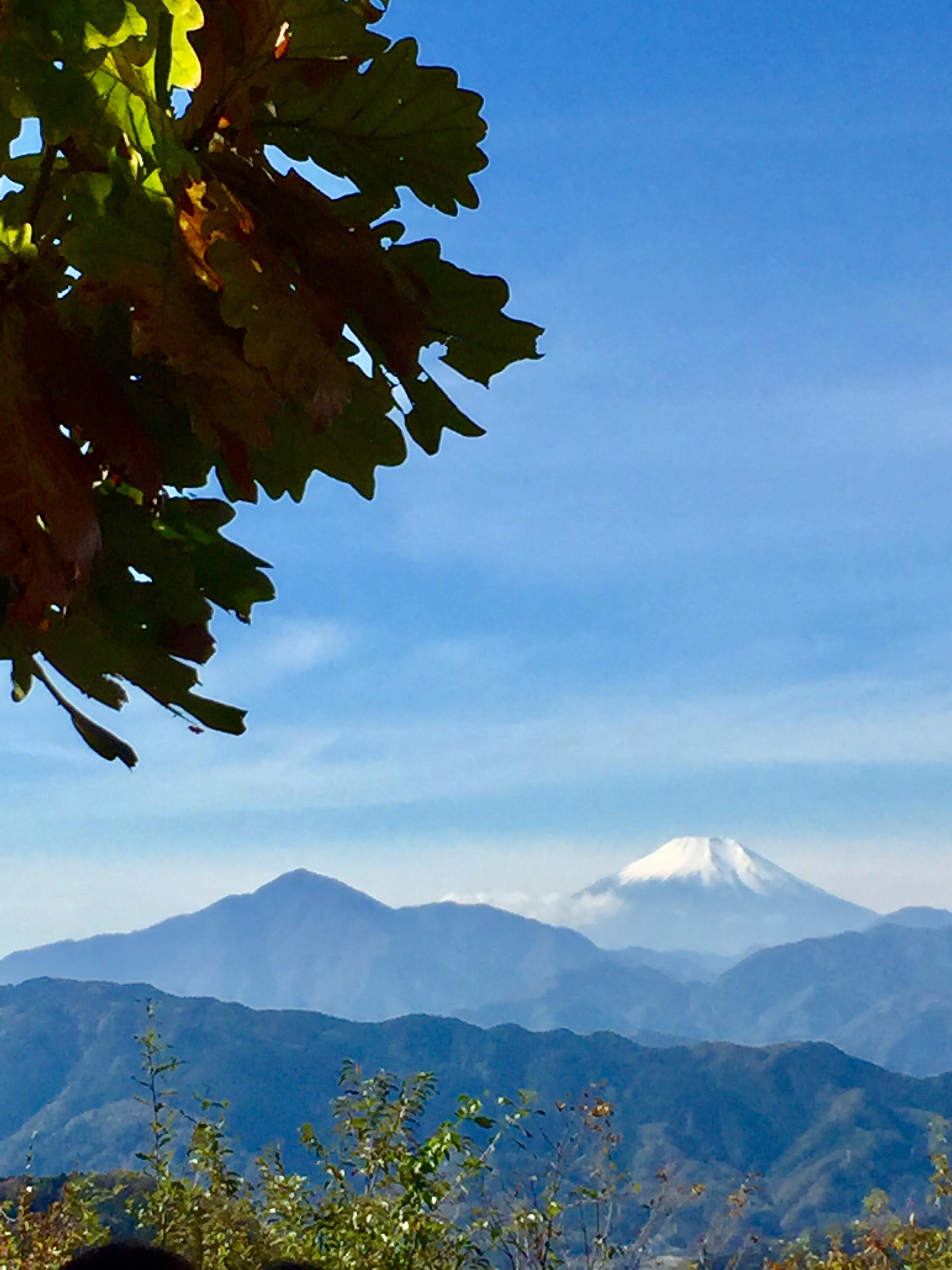 Mt. Fuji | Scrolller