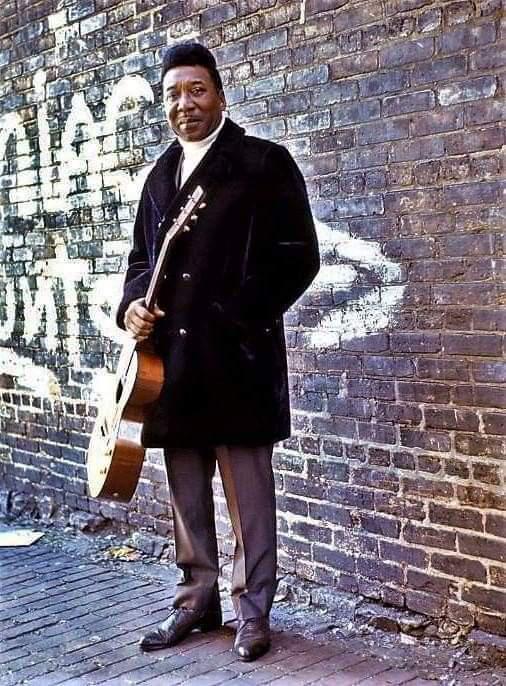 Muddy Waters | Scrolller