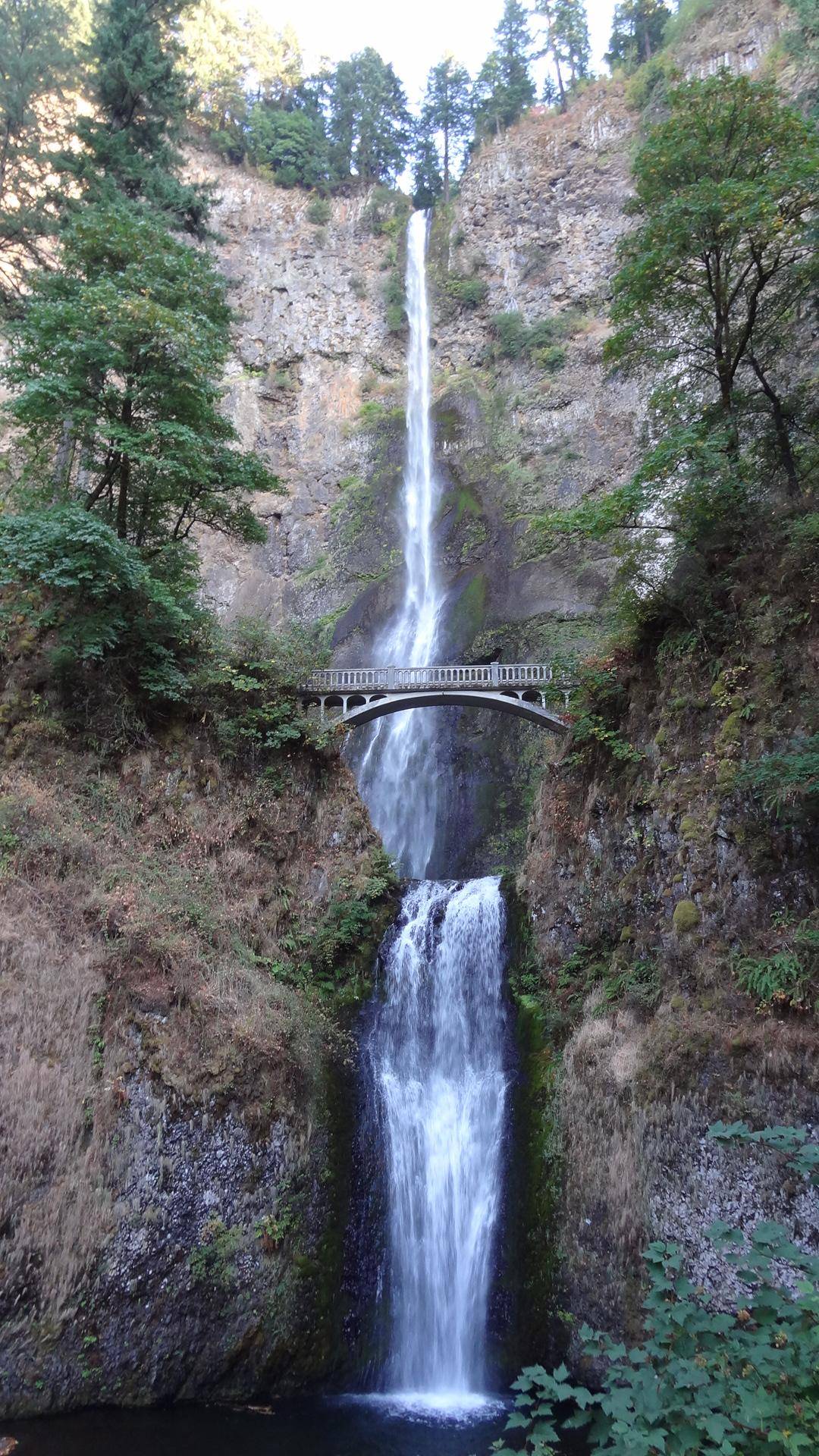 Multnomah Falls, Oregon [1080x1920][OC] | Scrolller