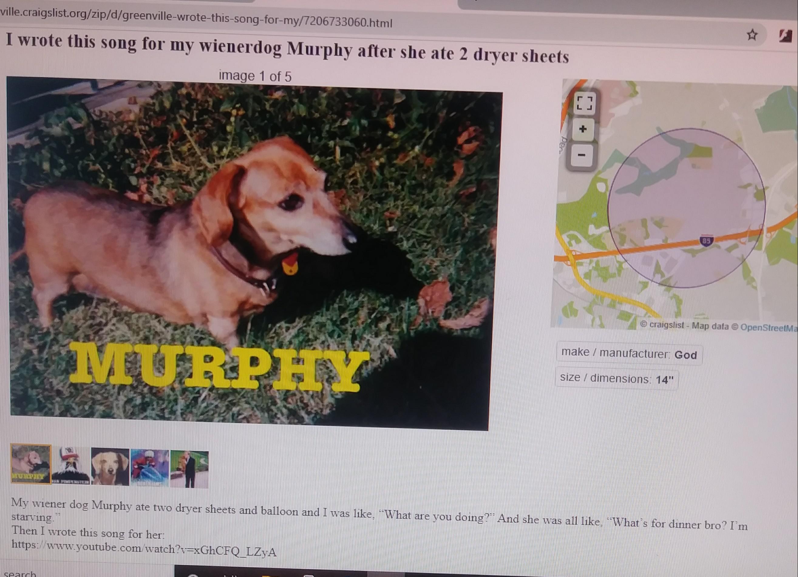 Murphy :) | Scrolller