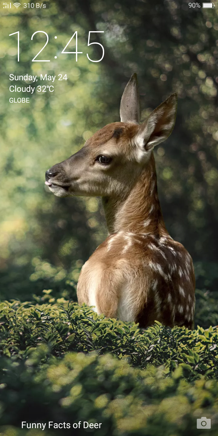 Muscle Deer | Scrolller