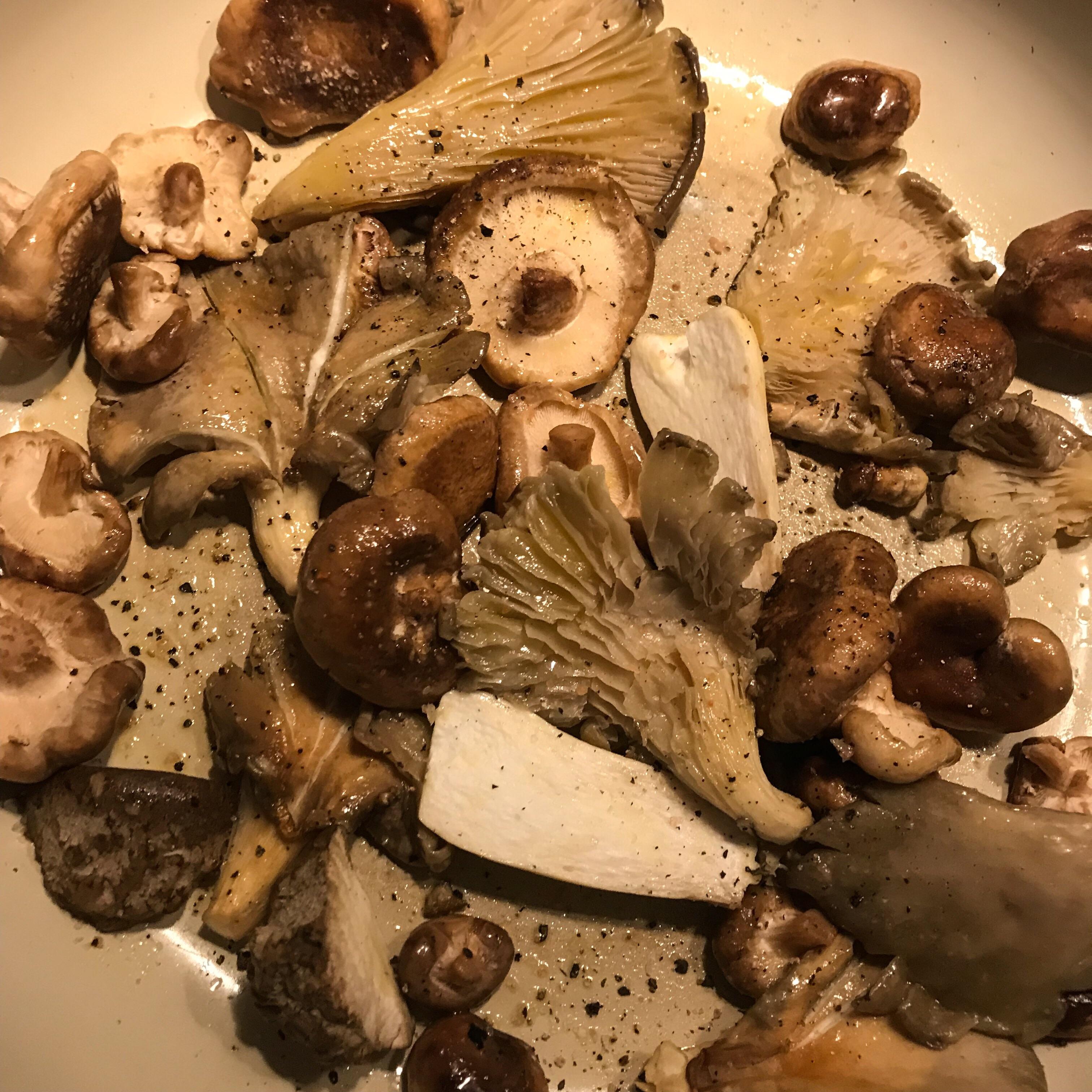 Mushroom Feast! | Scrolller