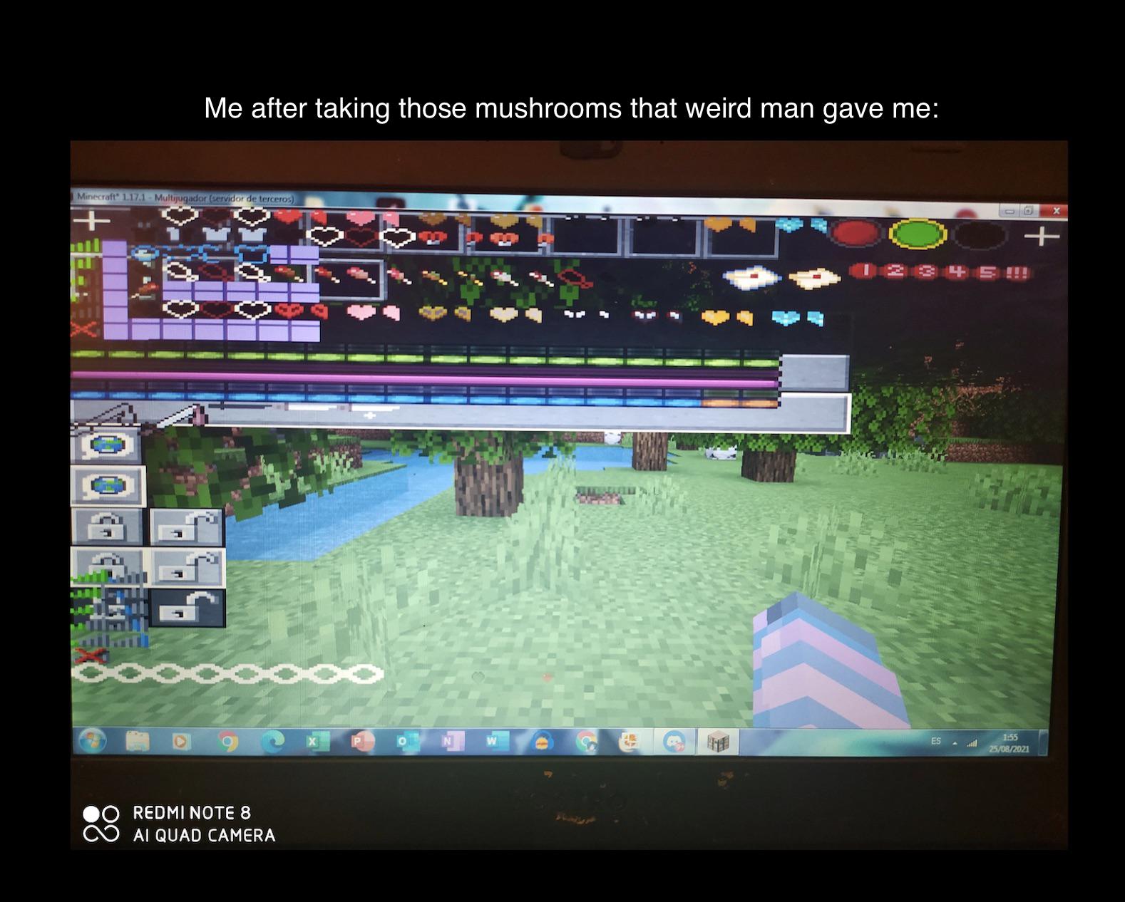 Mushrooms | Scrolller