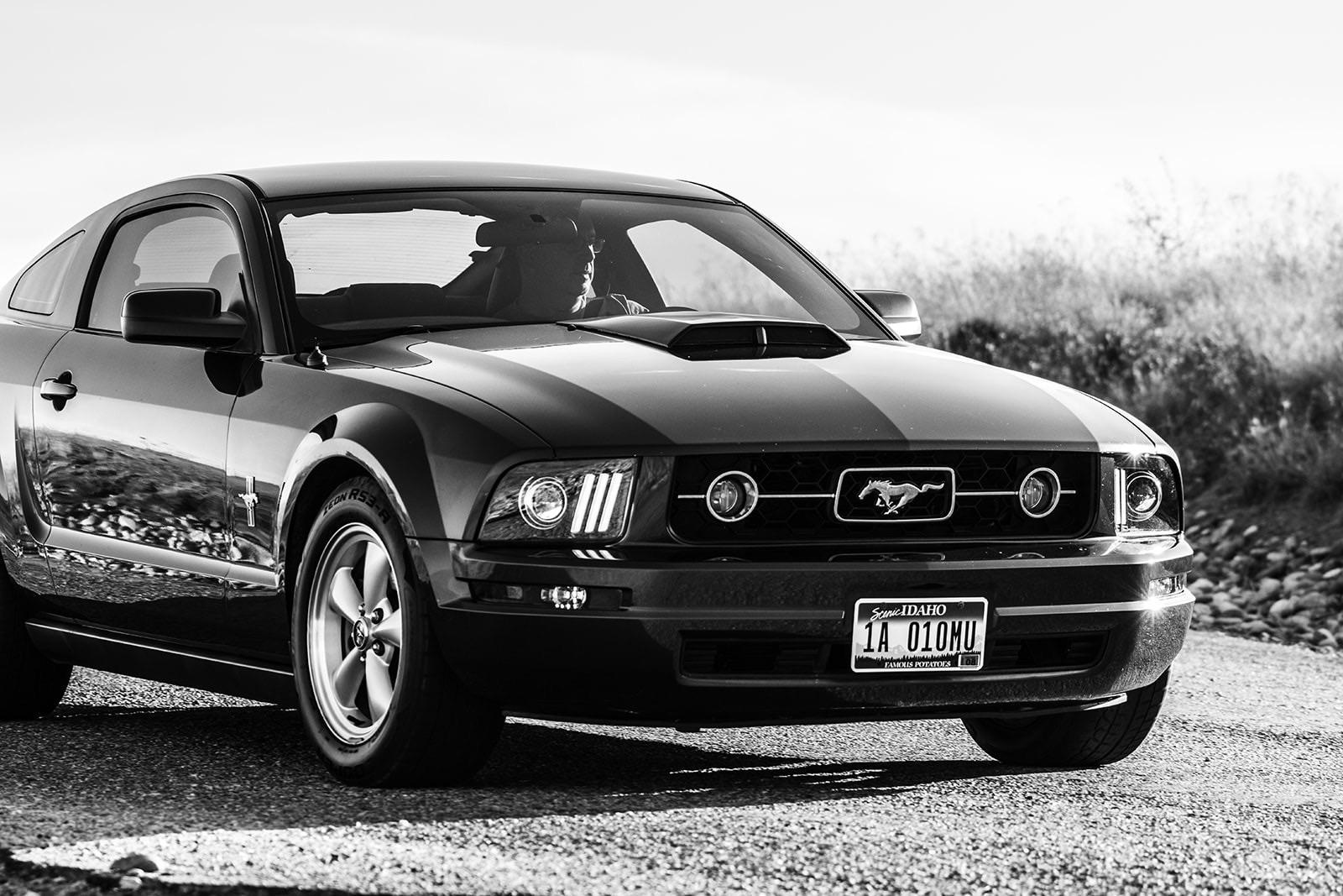 Mustang | Scrolller