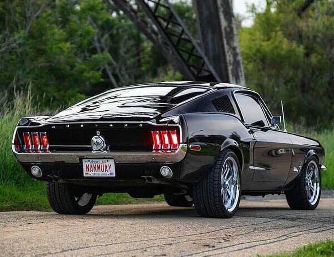 Mustang Fastback | Scrolller
