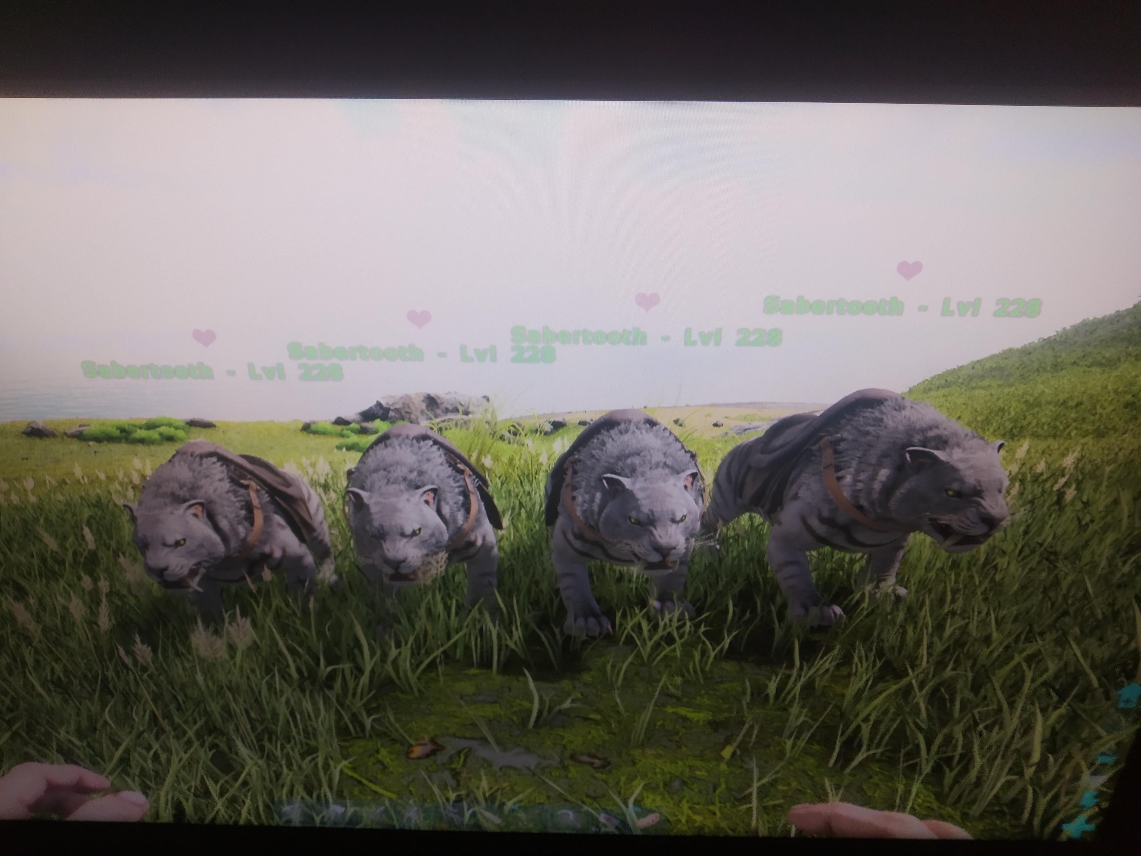 Mutated Sabers | Scrolller