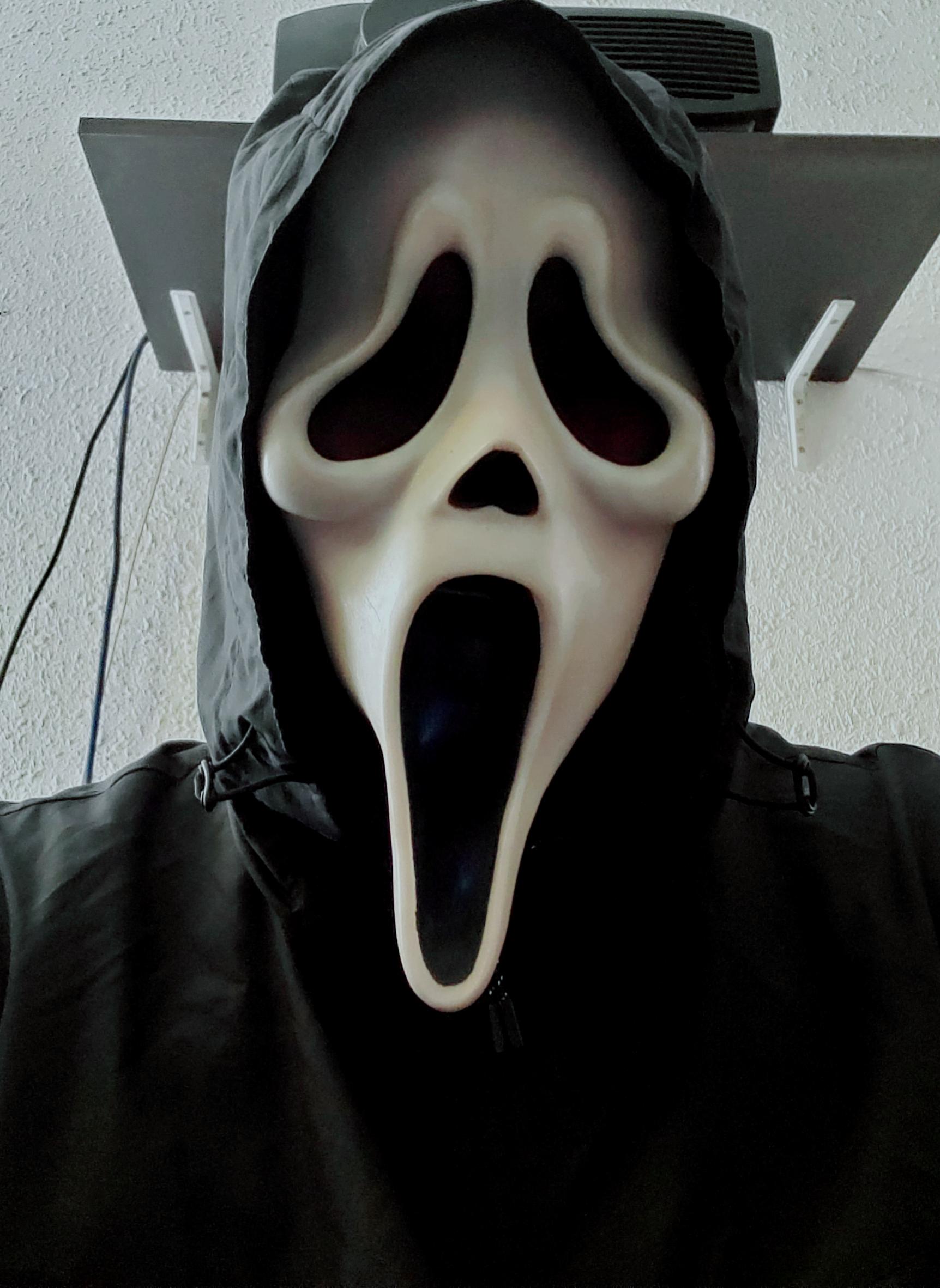 My 1999 GhostFace mask from la fnac store in Paris | Scrolller