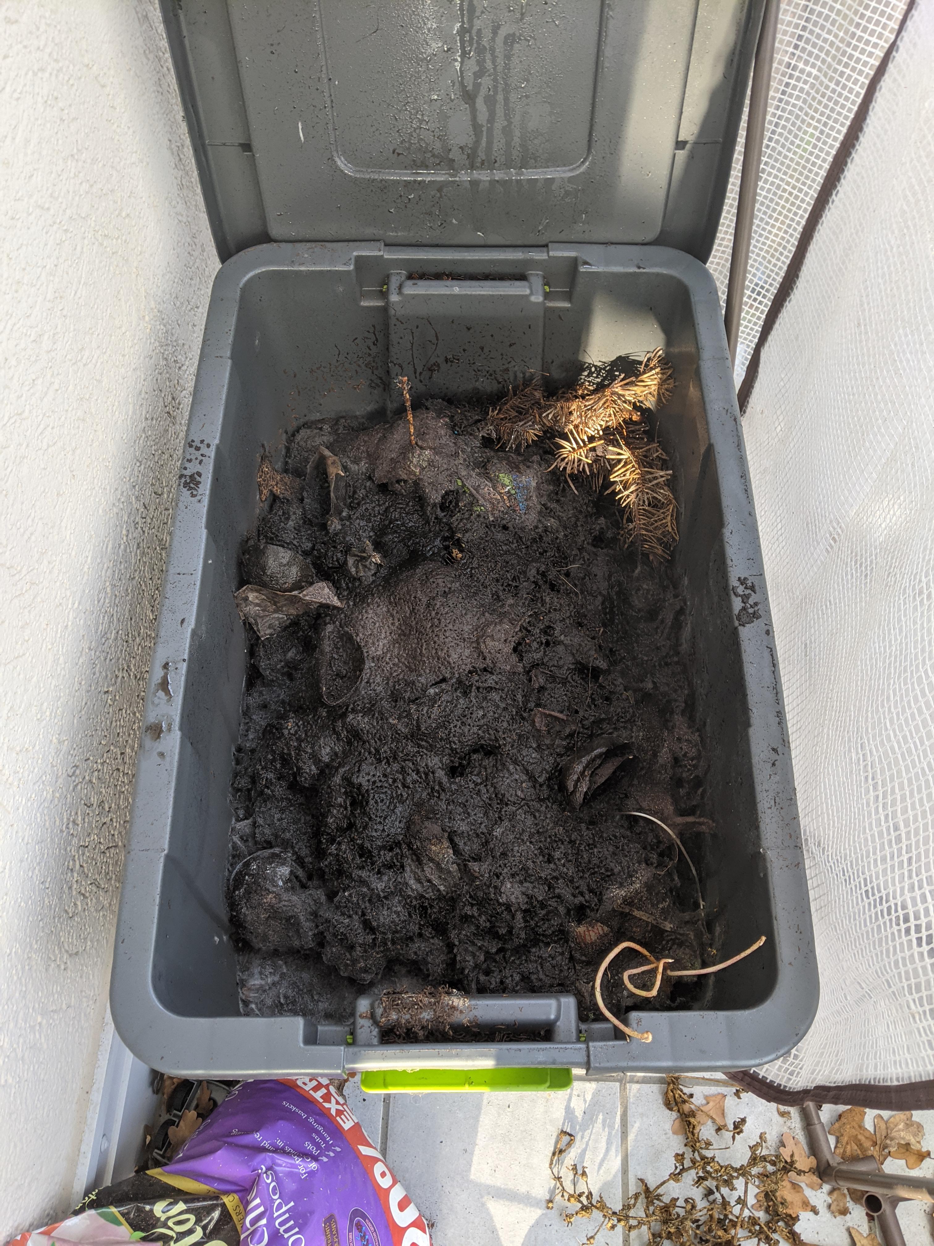 My accidentally neglect compost pile turned into...compost. | Scrolller
