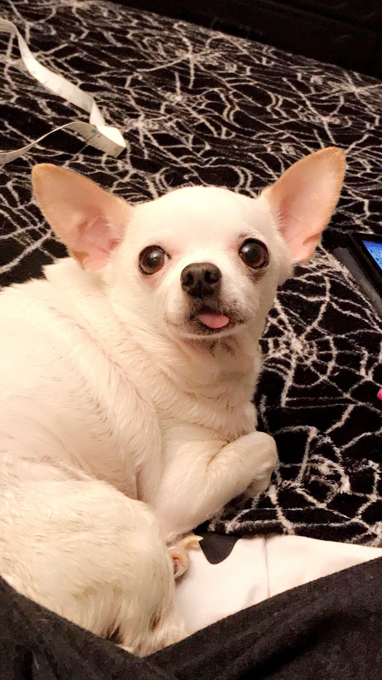 My angel 4 years ago in 2017 | Scrolller