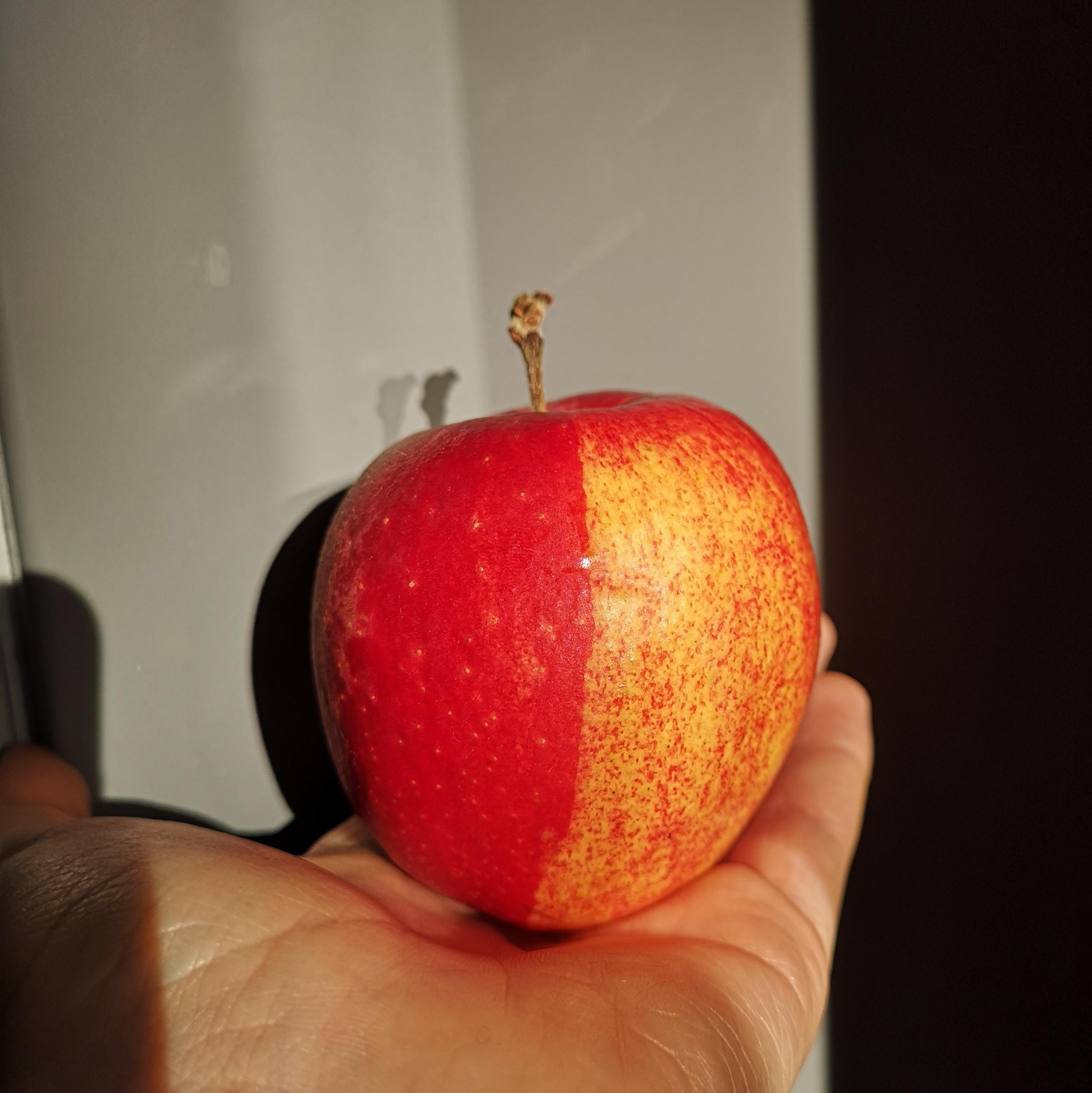 My apple divided in half by color. | Scrolller