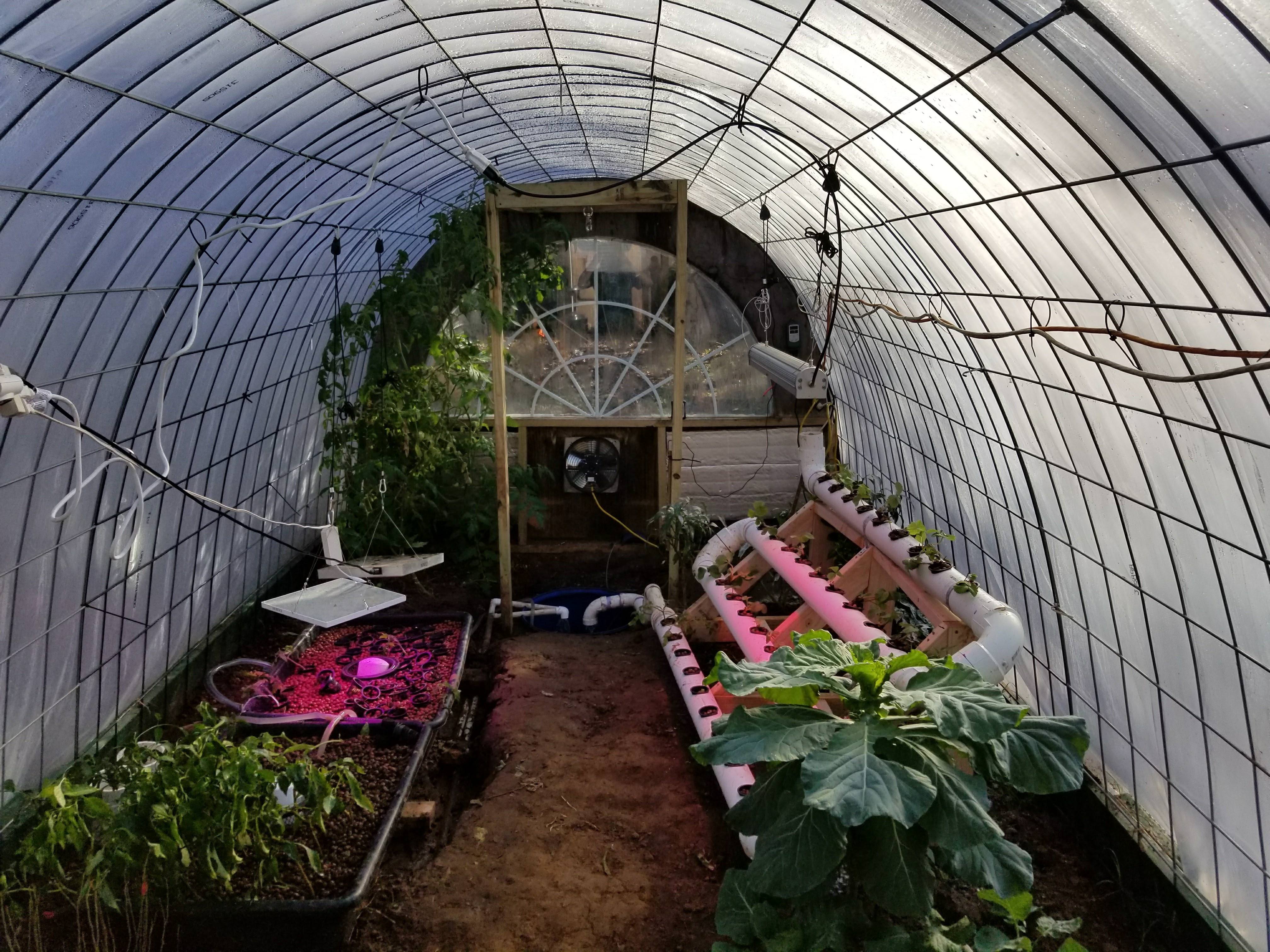 My Aquaponics Greenhouse | Scrolller