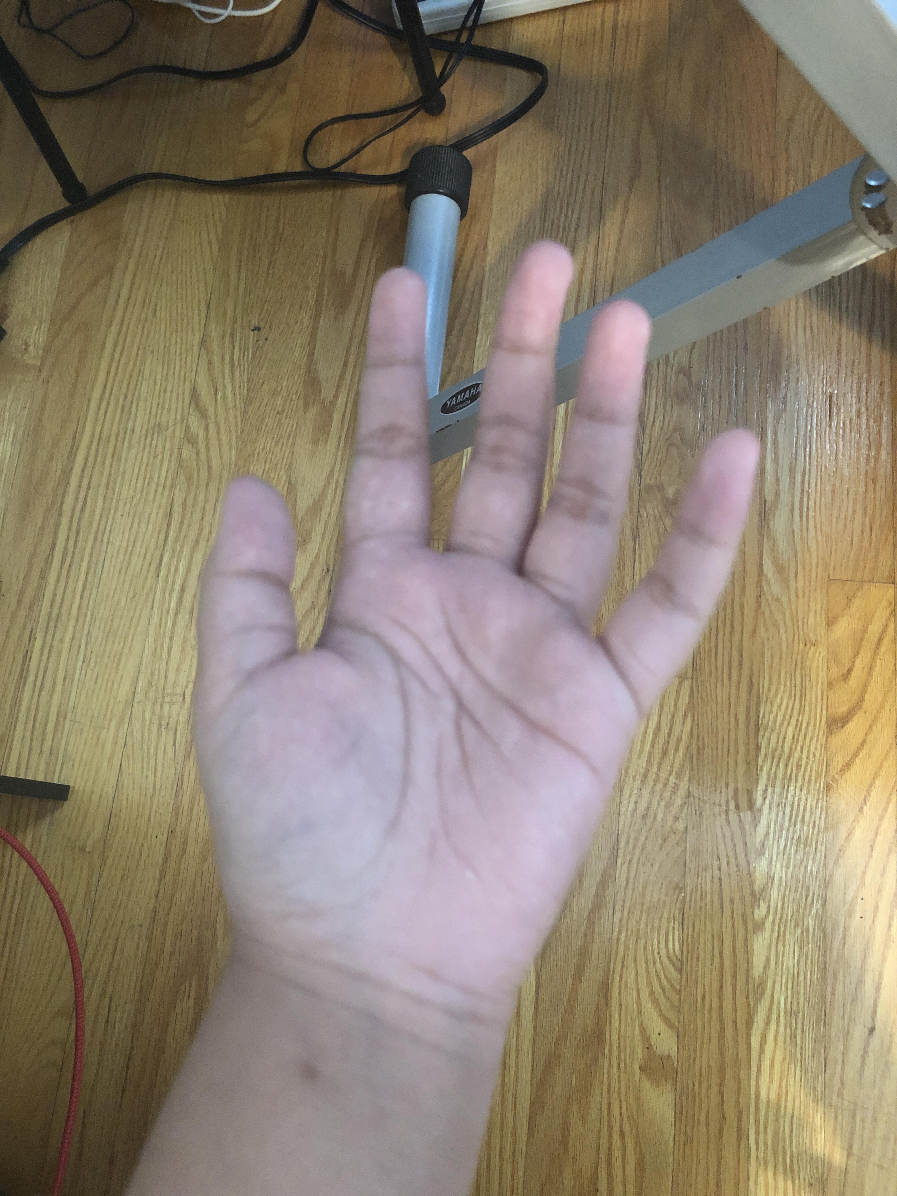 My Asian Palm | Scrolller