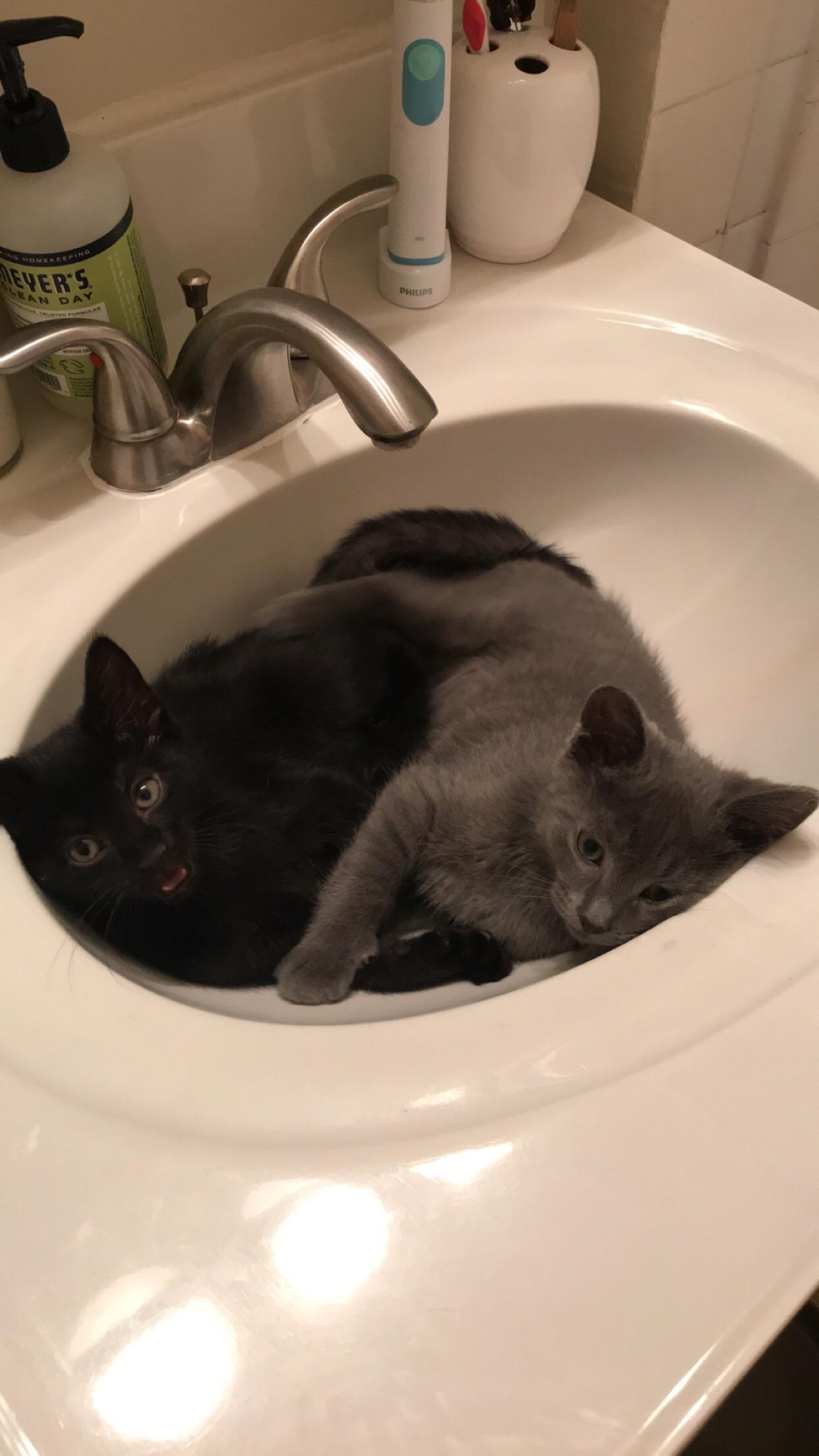 My babies were so tiny | Scrolller