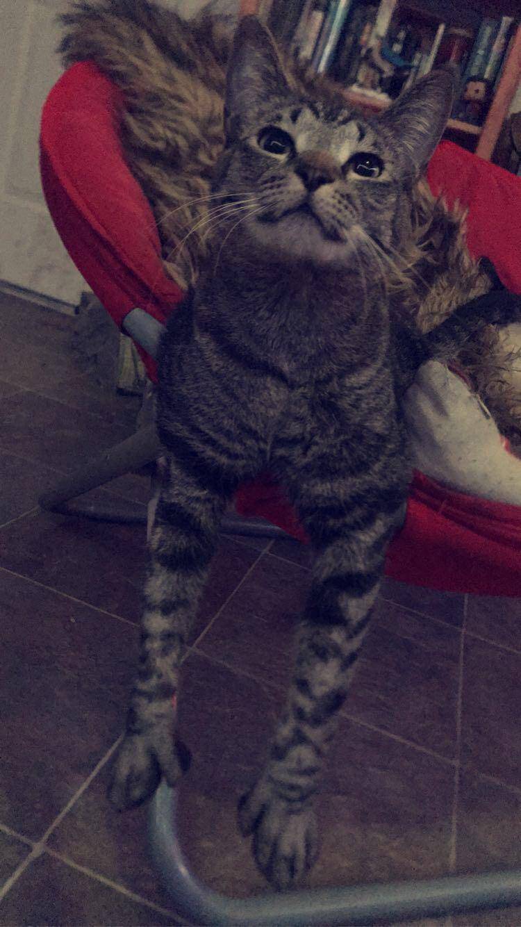 my baby and his beans | Scrolller