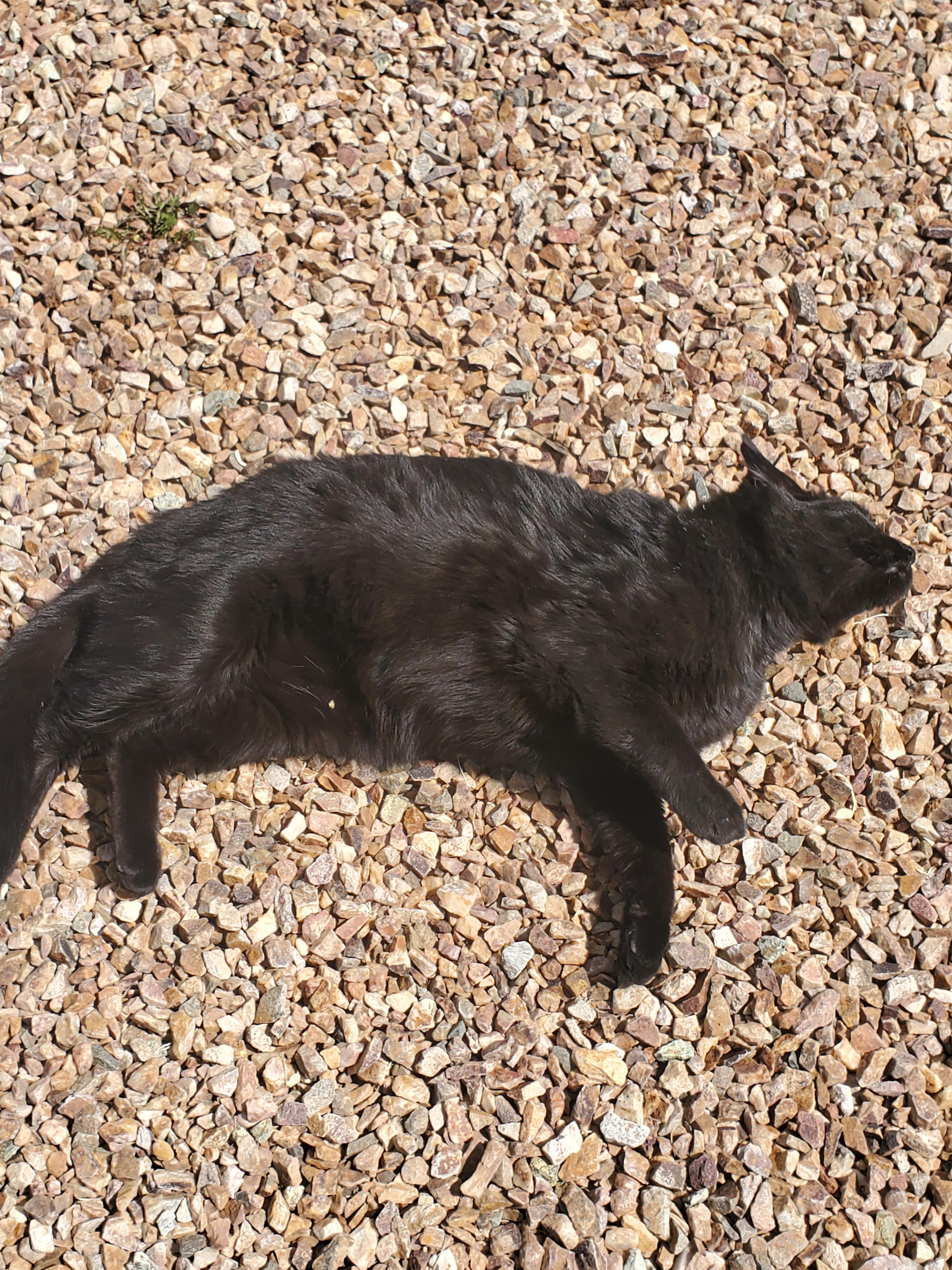 My baby boy buddy 🥰 | Scrolller