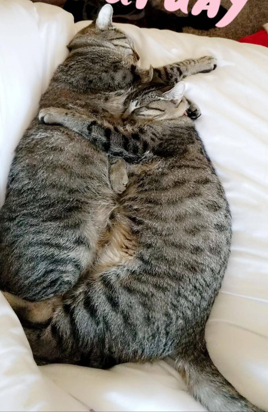 My baby girl cuddling her baby girl | Scrolller