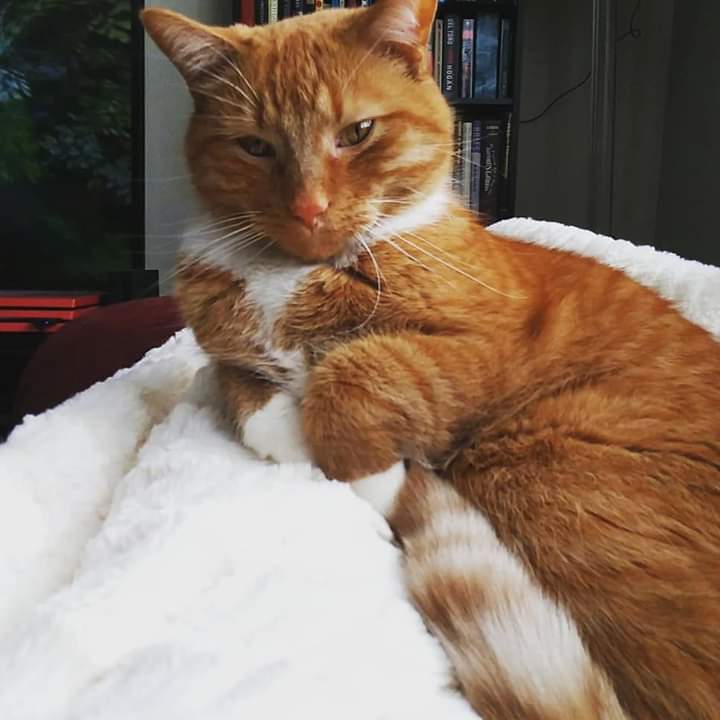 My baby Leonard | Scrolller