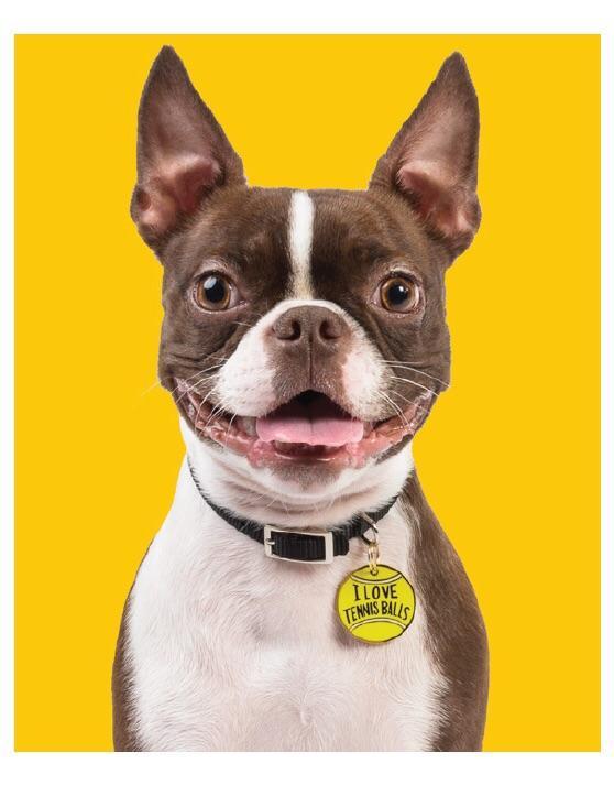 My baby turns two today! Here’s one of her glamour shots 🤩 | Scrolller