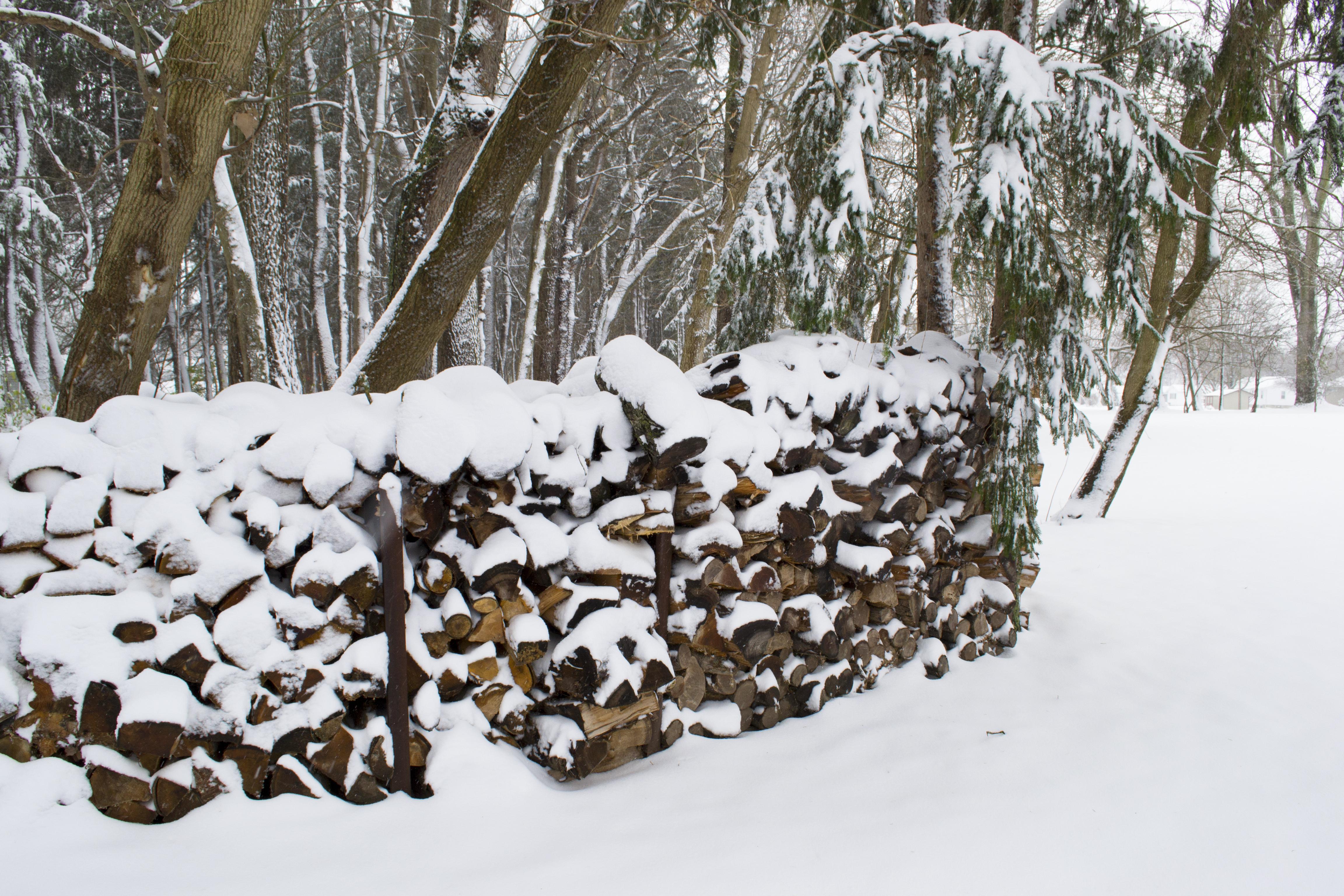 My backyard - Michigan | Scrolller