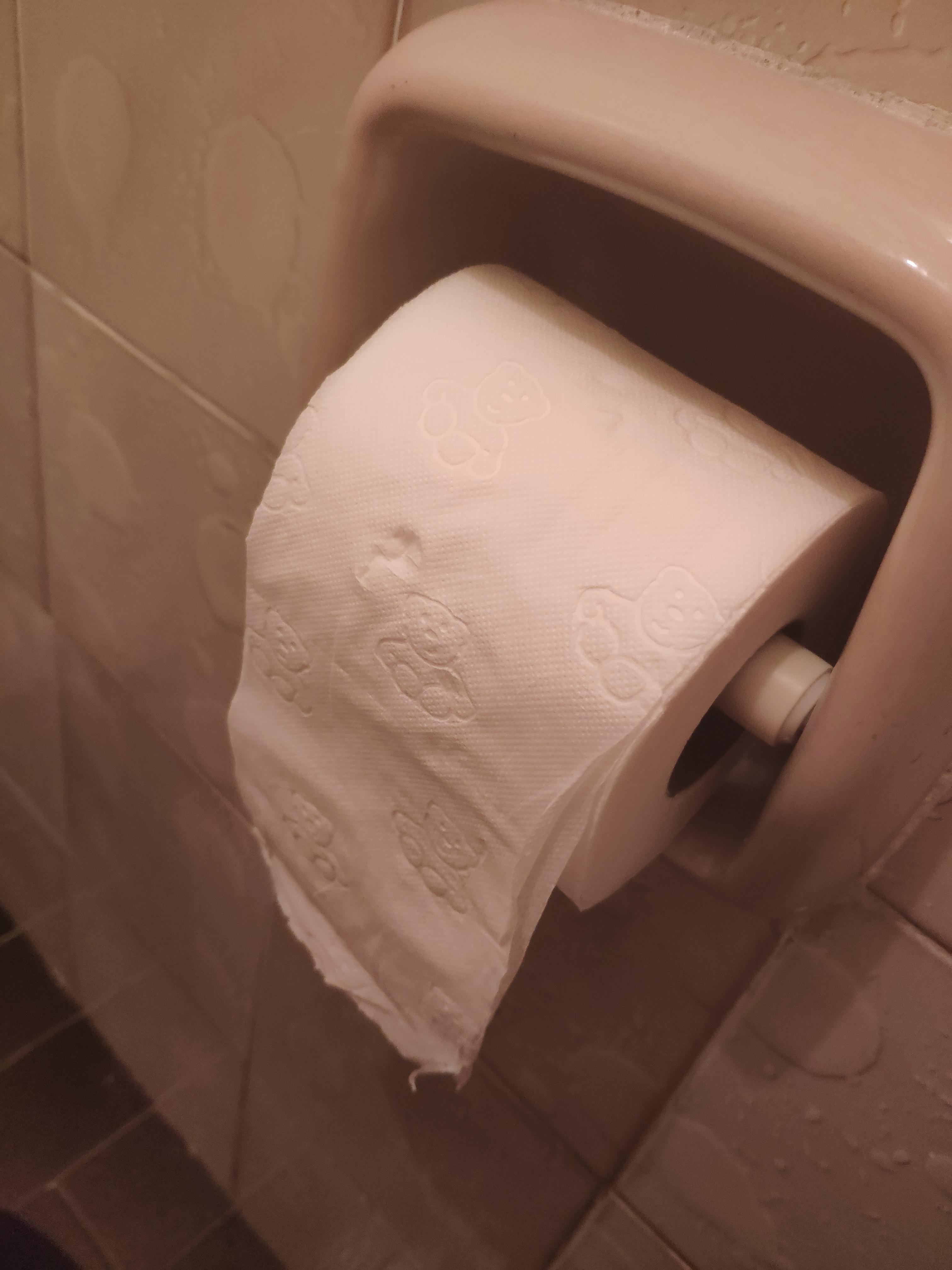 My bathroom's toilet paper | Scrolller