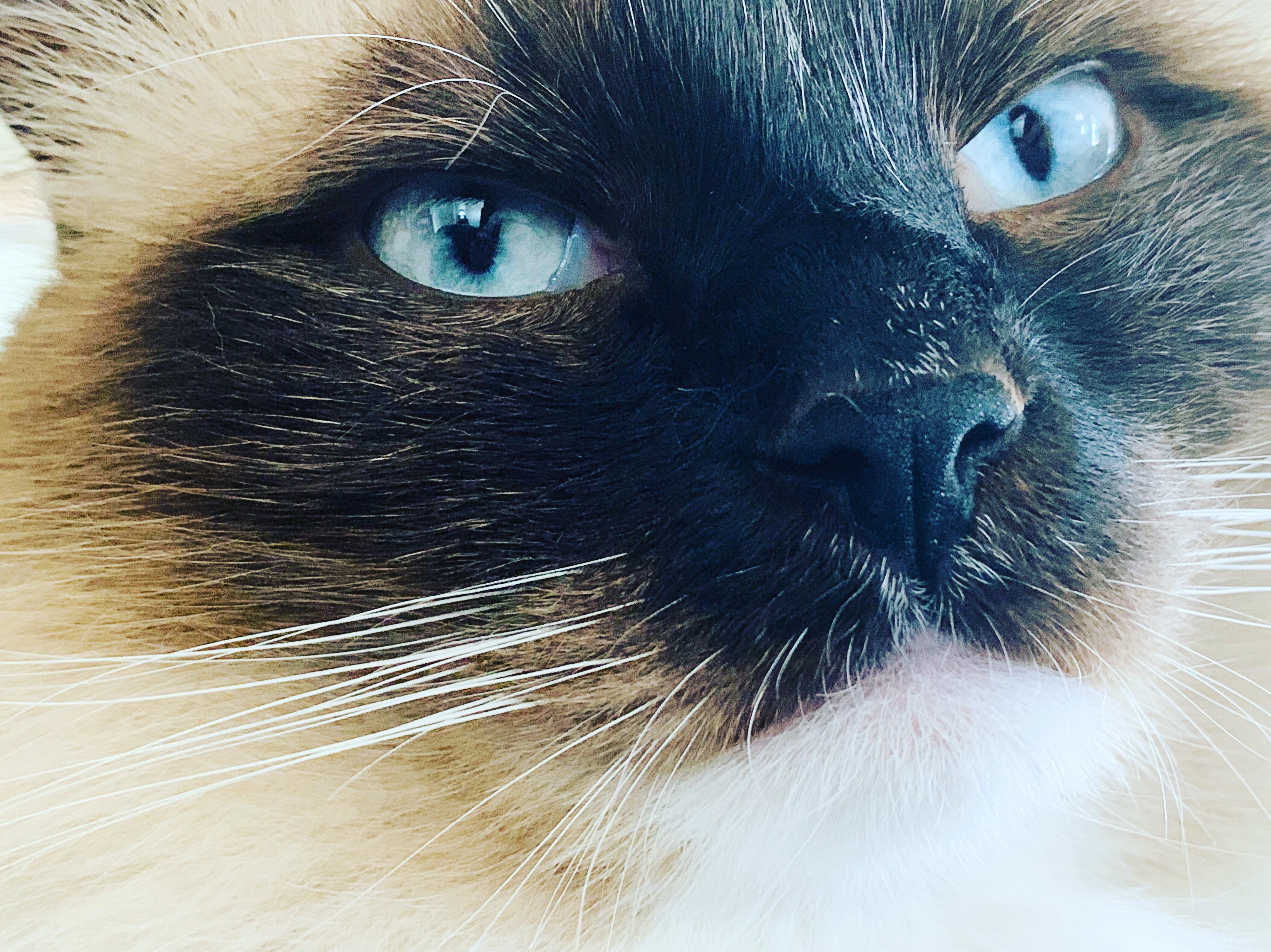 My beautiful boy! | Scrolller