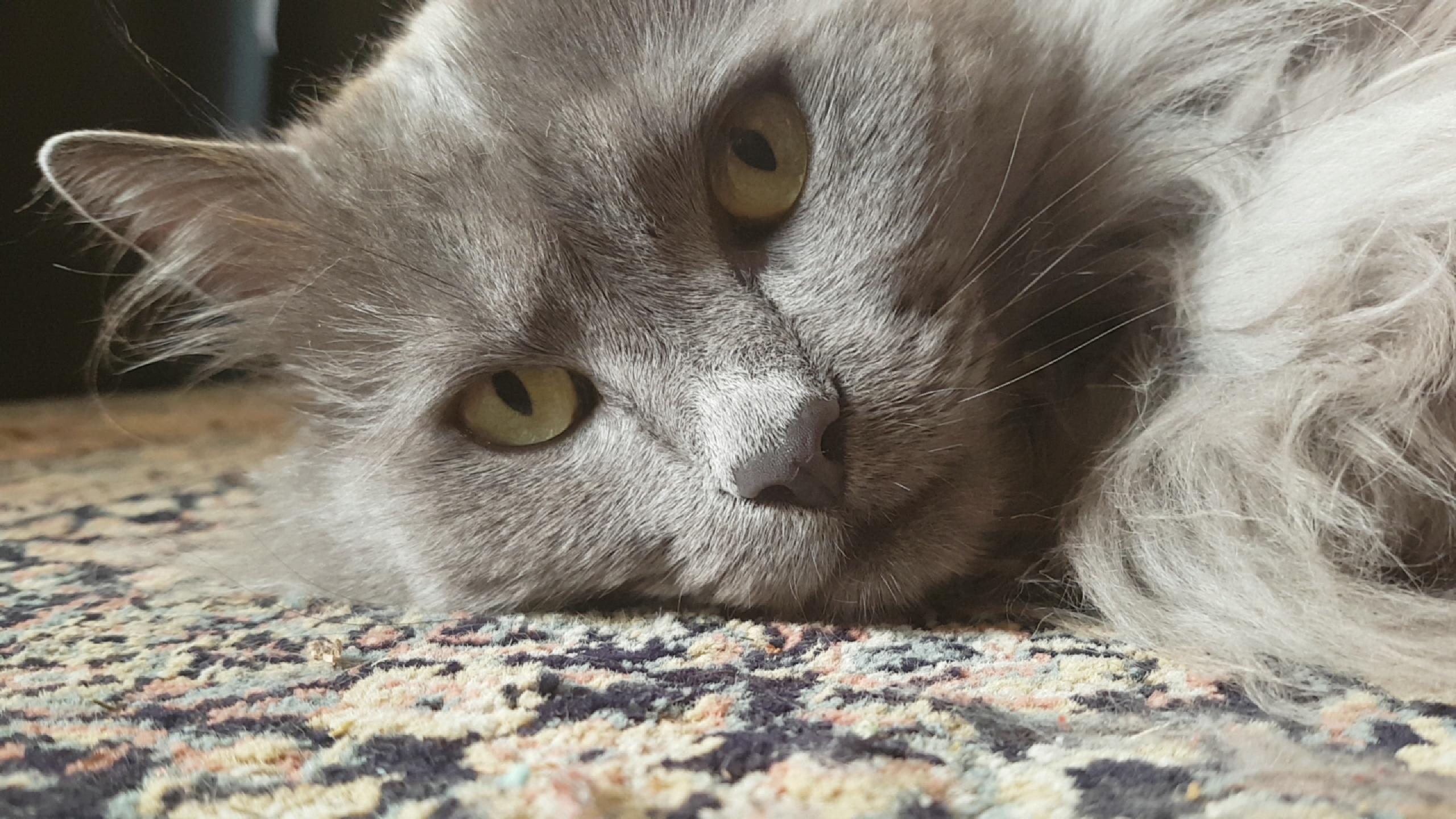 My beautiful boy. | Scrolller