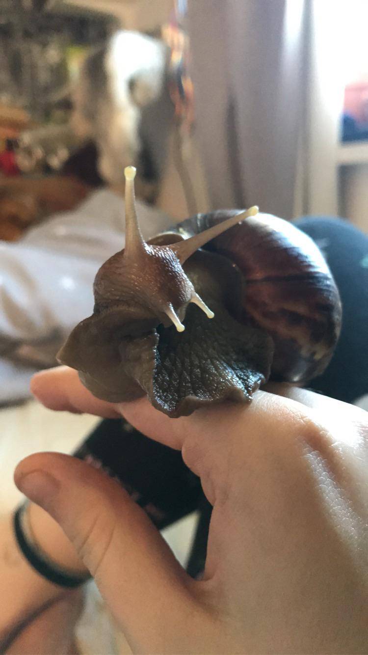 My beautiful boy cheese | Scrolller