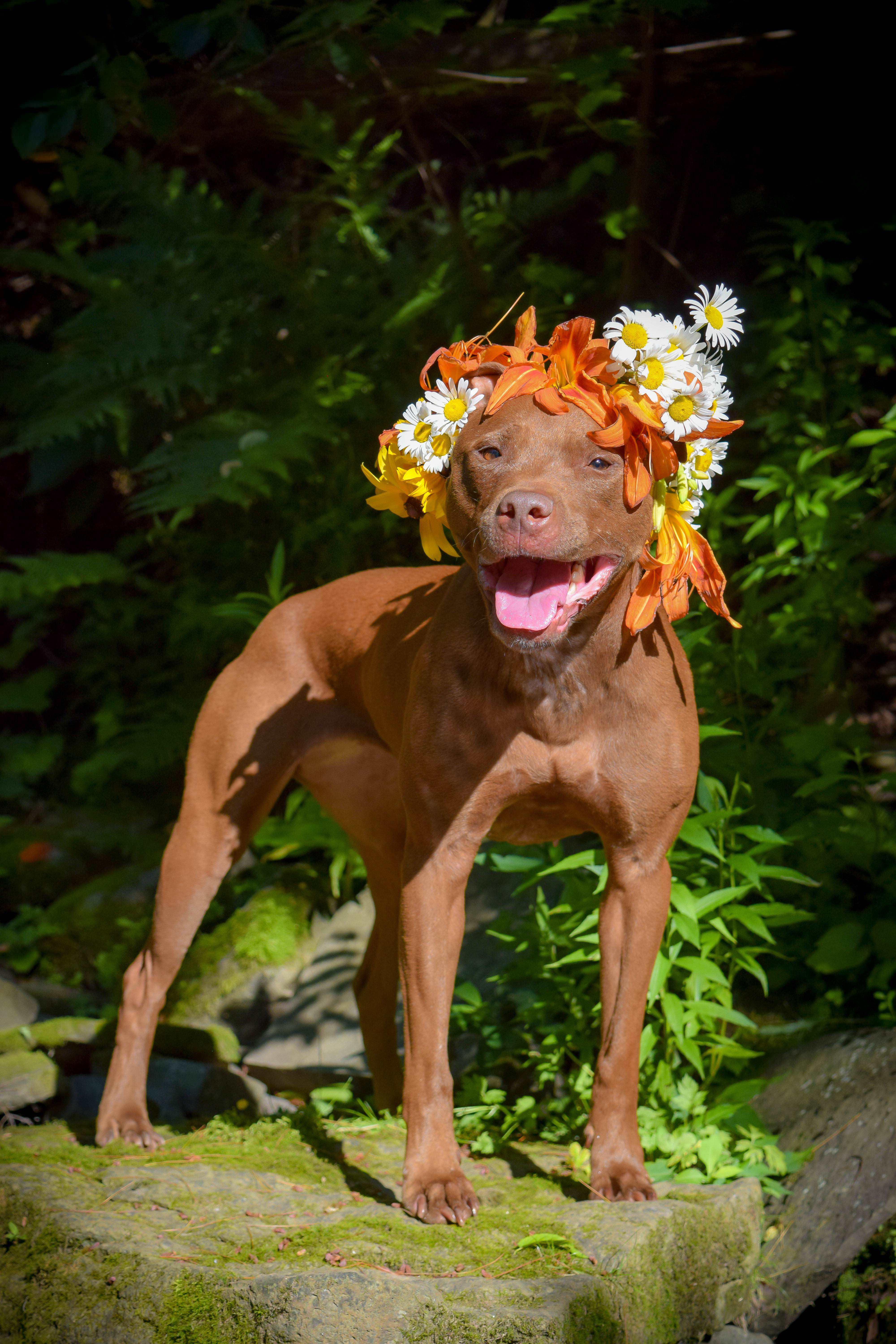 My Beautiful Girl Ruby Rose 🌹 Scrolller