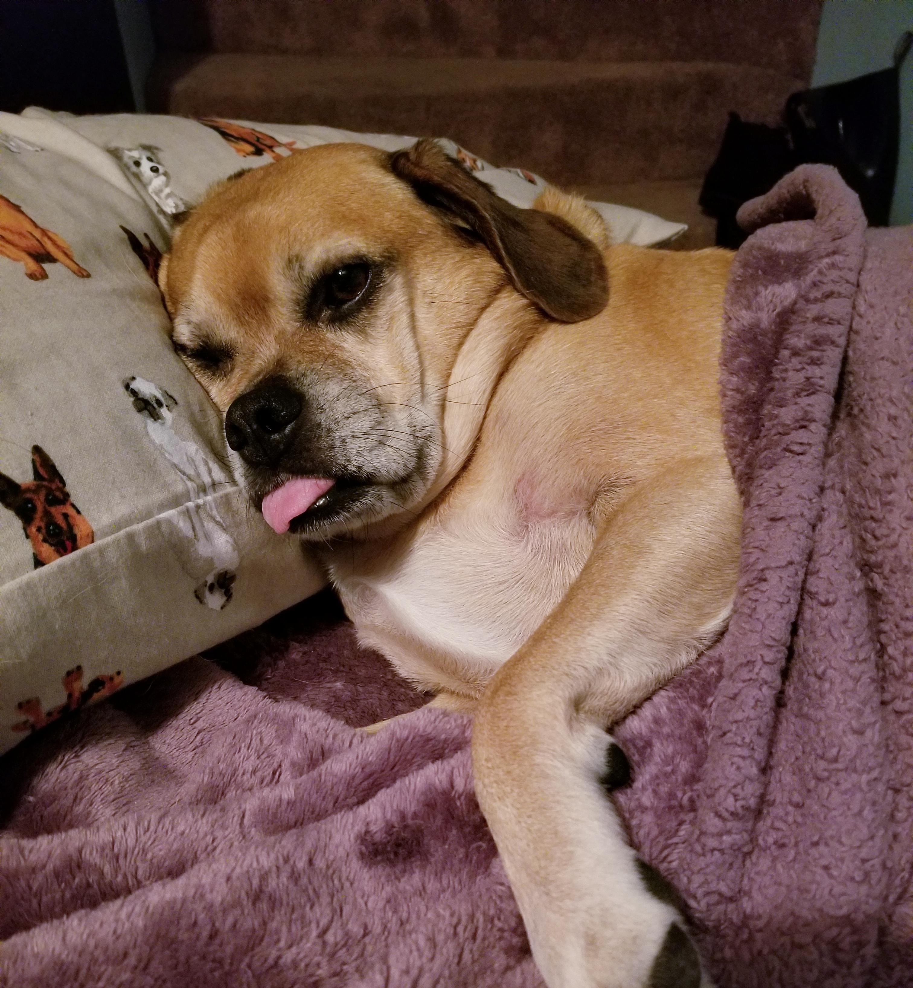 My beloved Benny | Scrolller