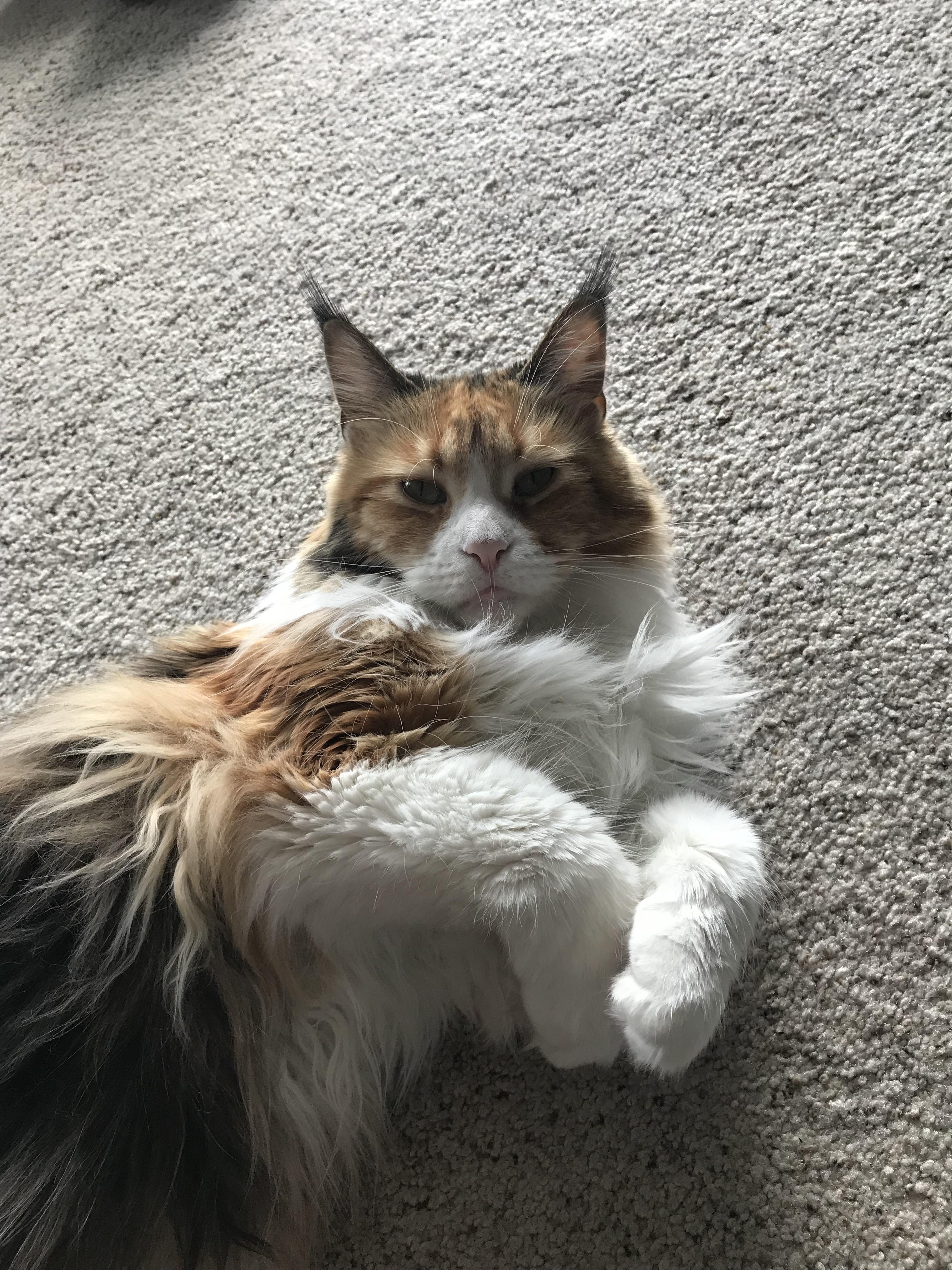 My best friend | Scrolller