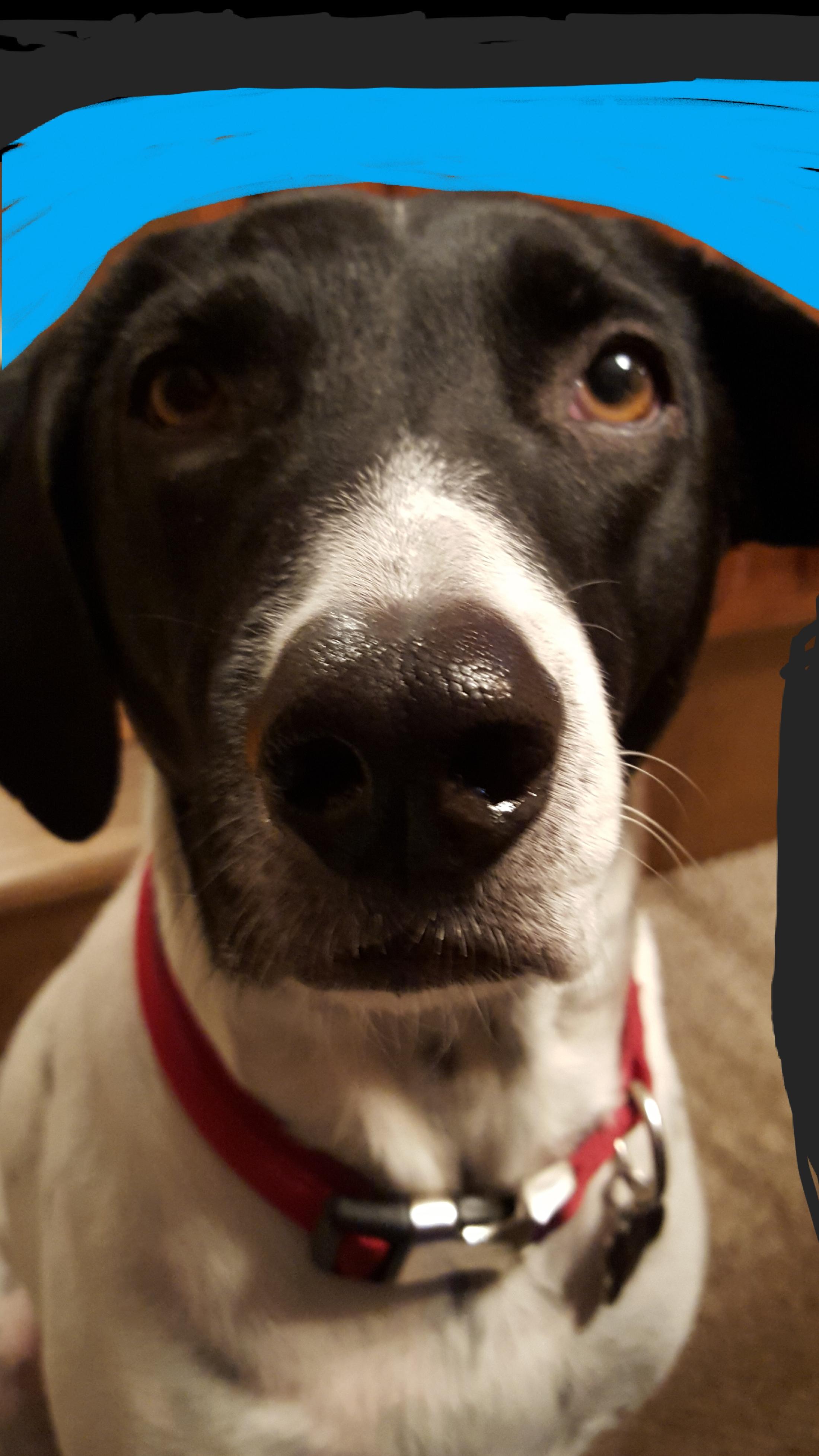 My Best Friend Scrolller