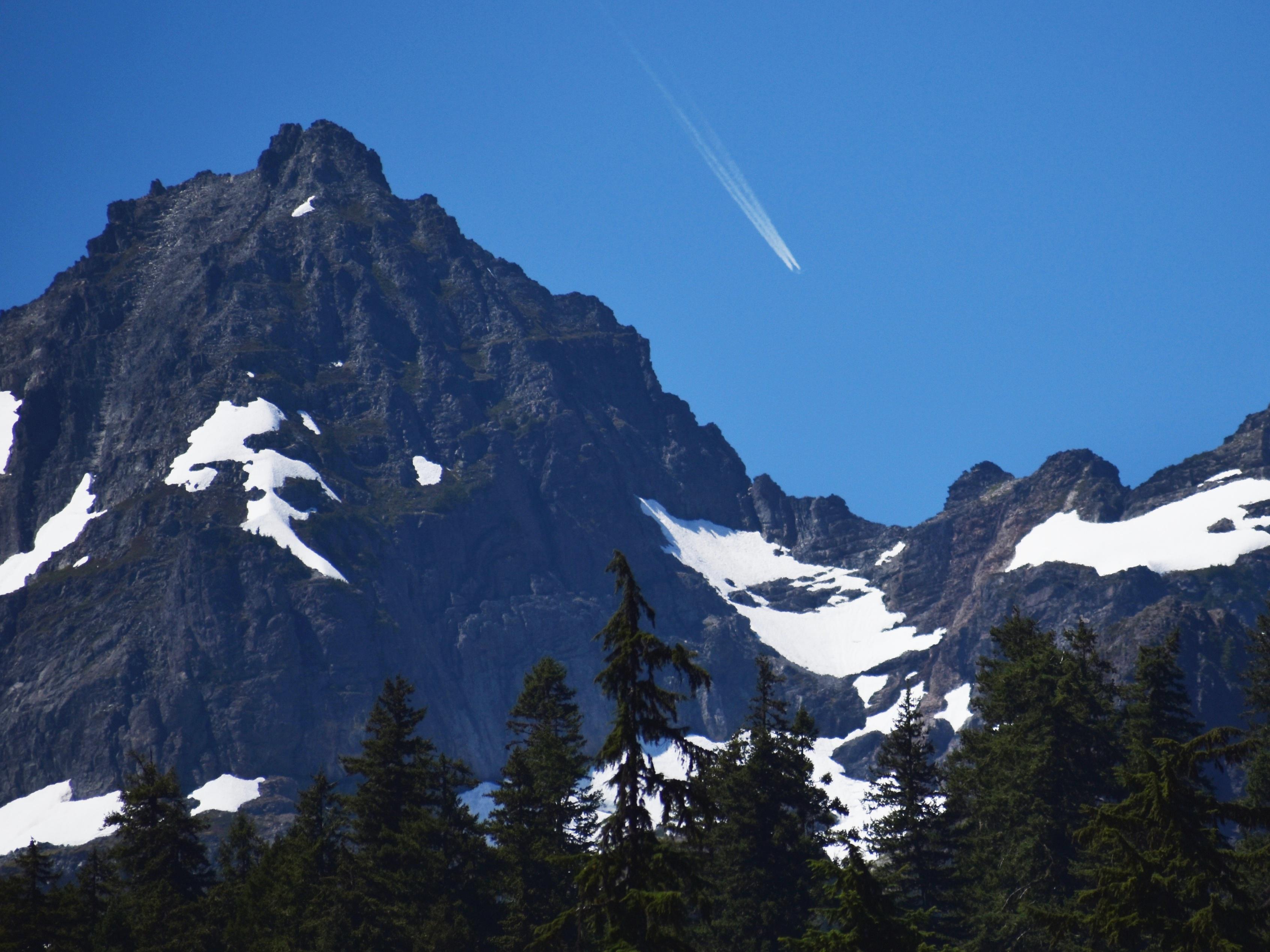 My best photo of Neowise | Scrolller