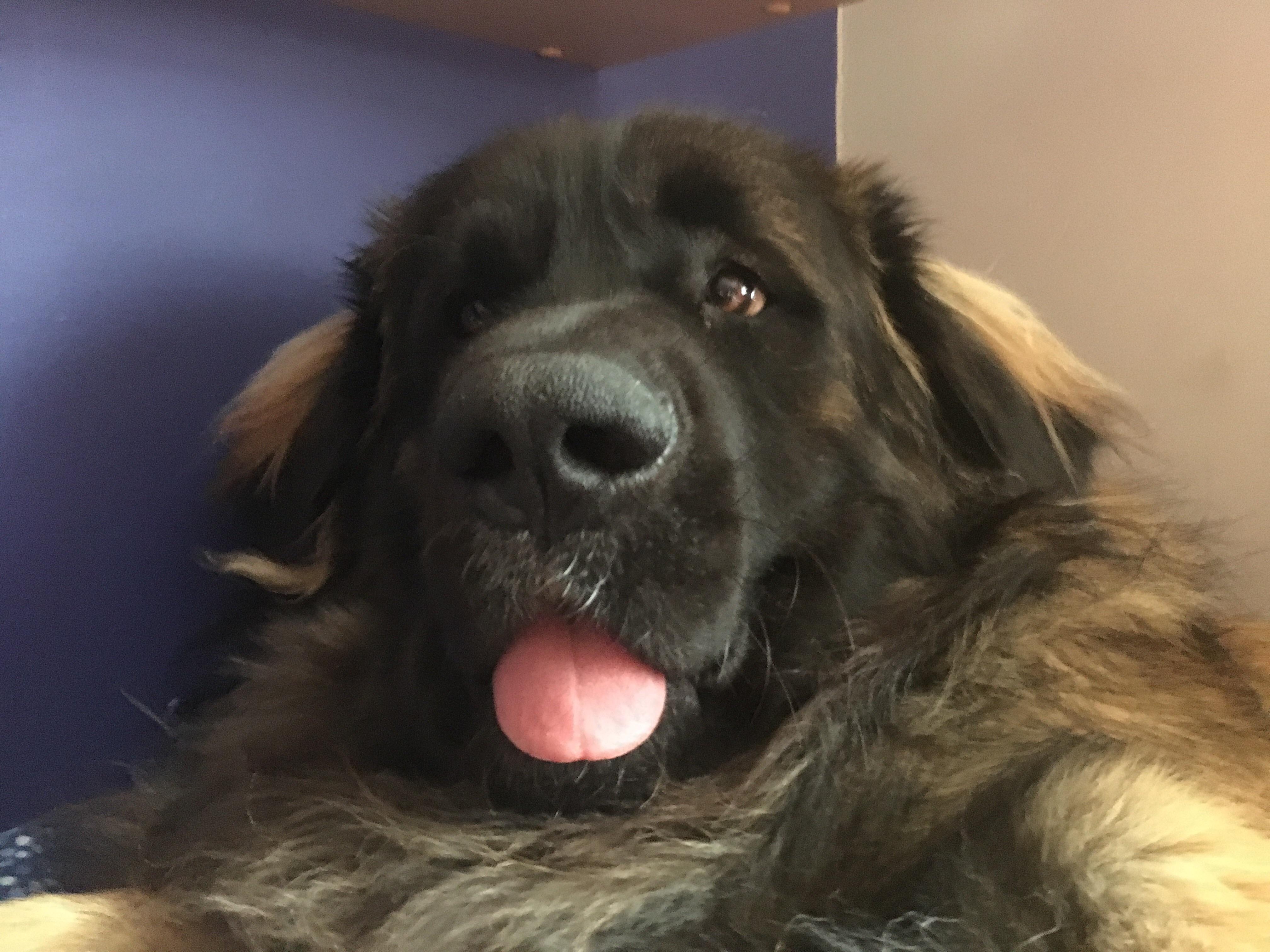 My big baby’s blop | Scrolller