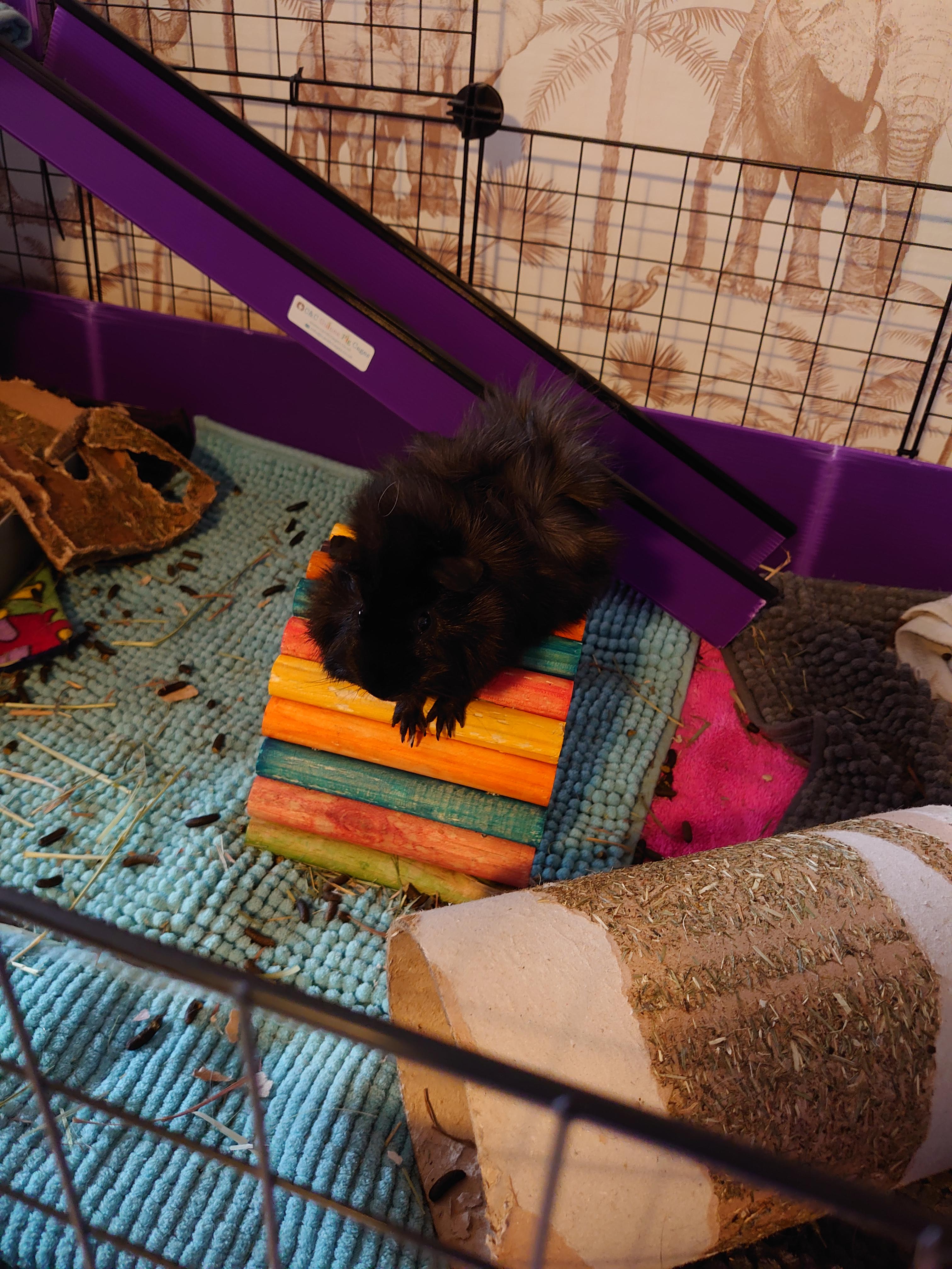 My black hole hogging the arch | Scrolller