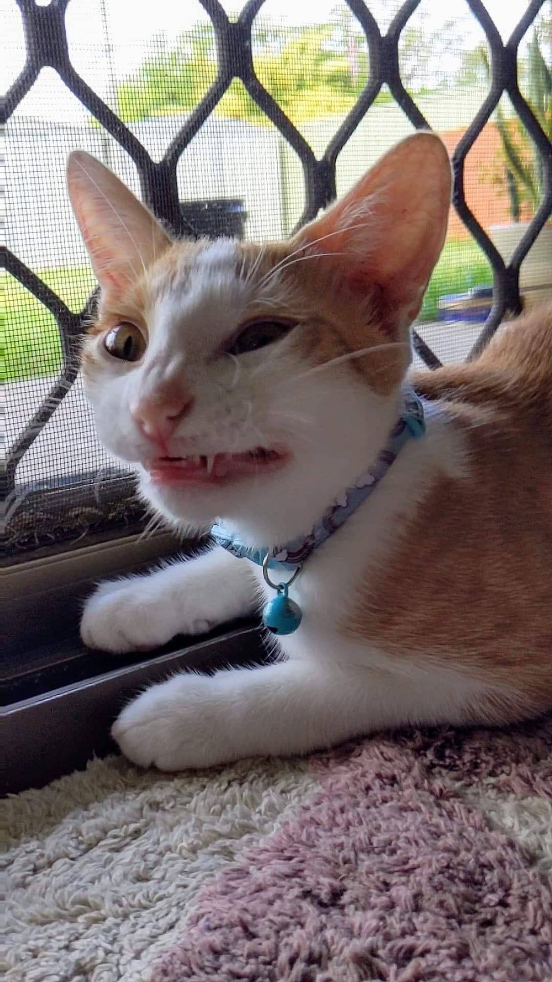 My boi Ren having a good scrunge | Scrolller