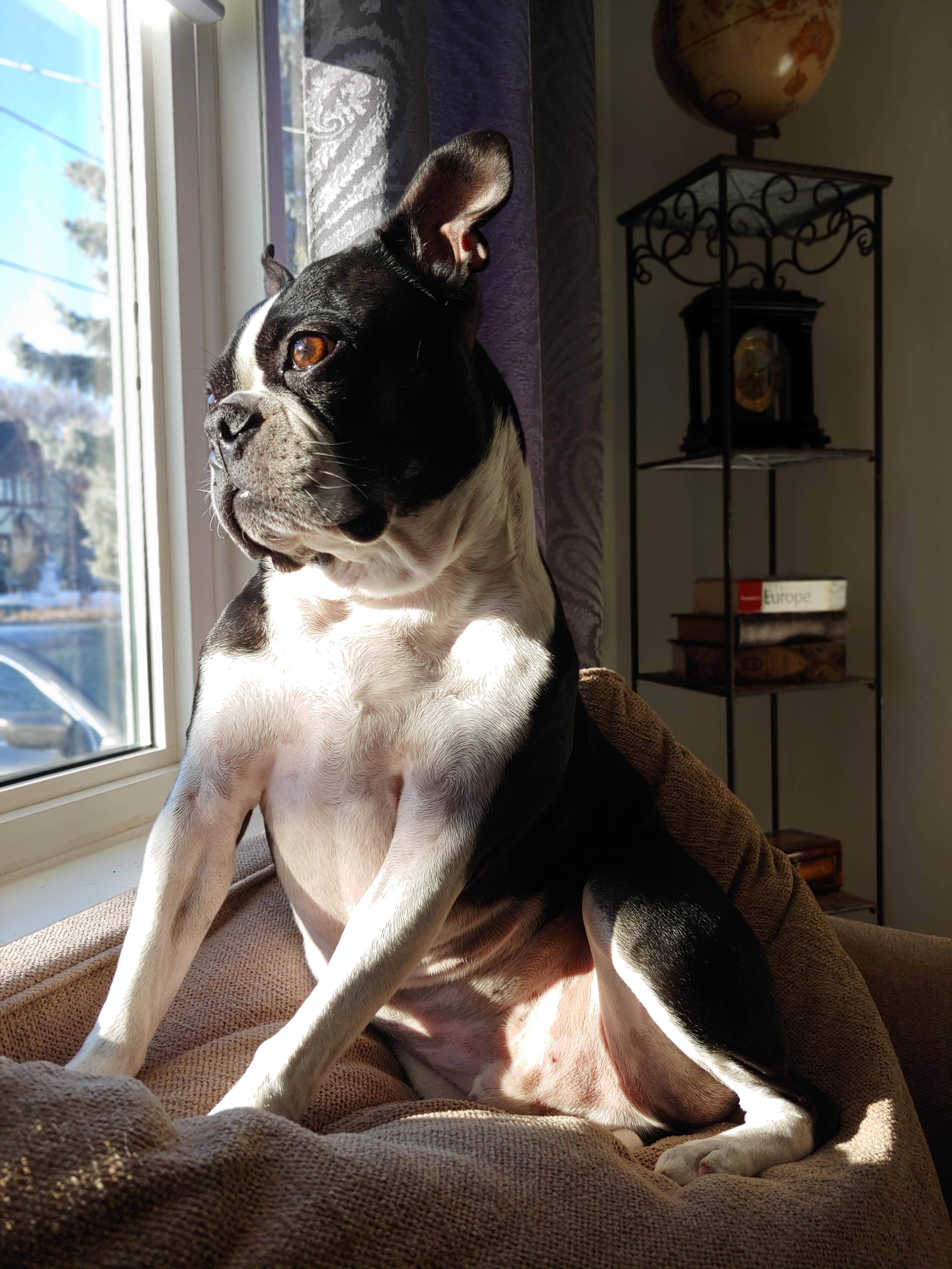 My boy contemplating the meaning of life | Scrolller