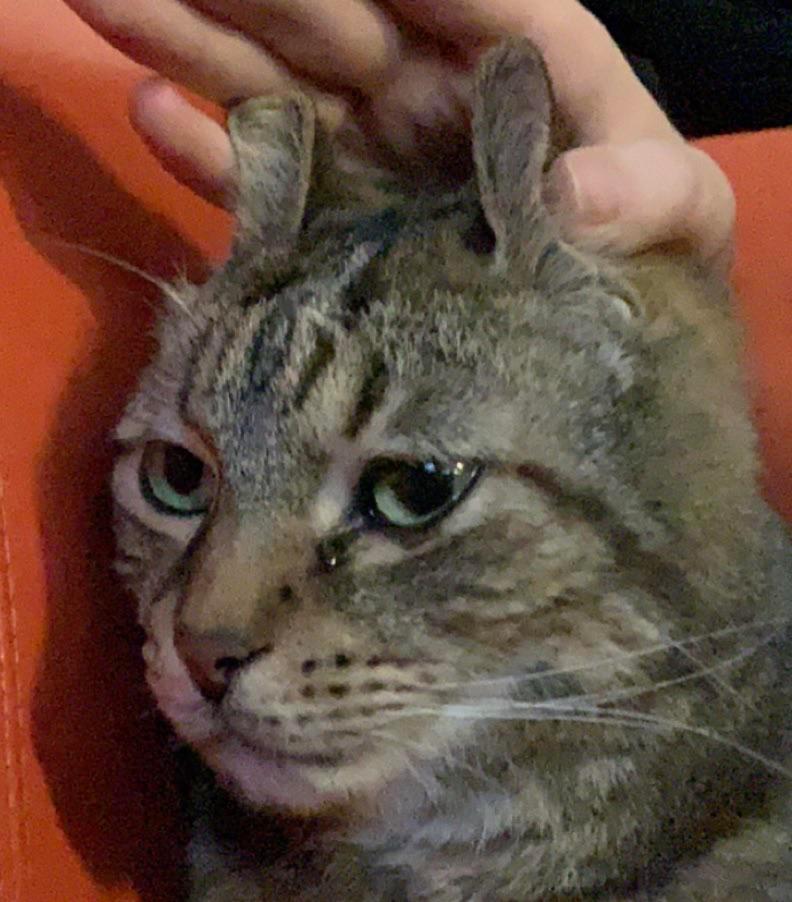 My Boy Sam | Scrolller