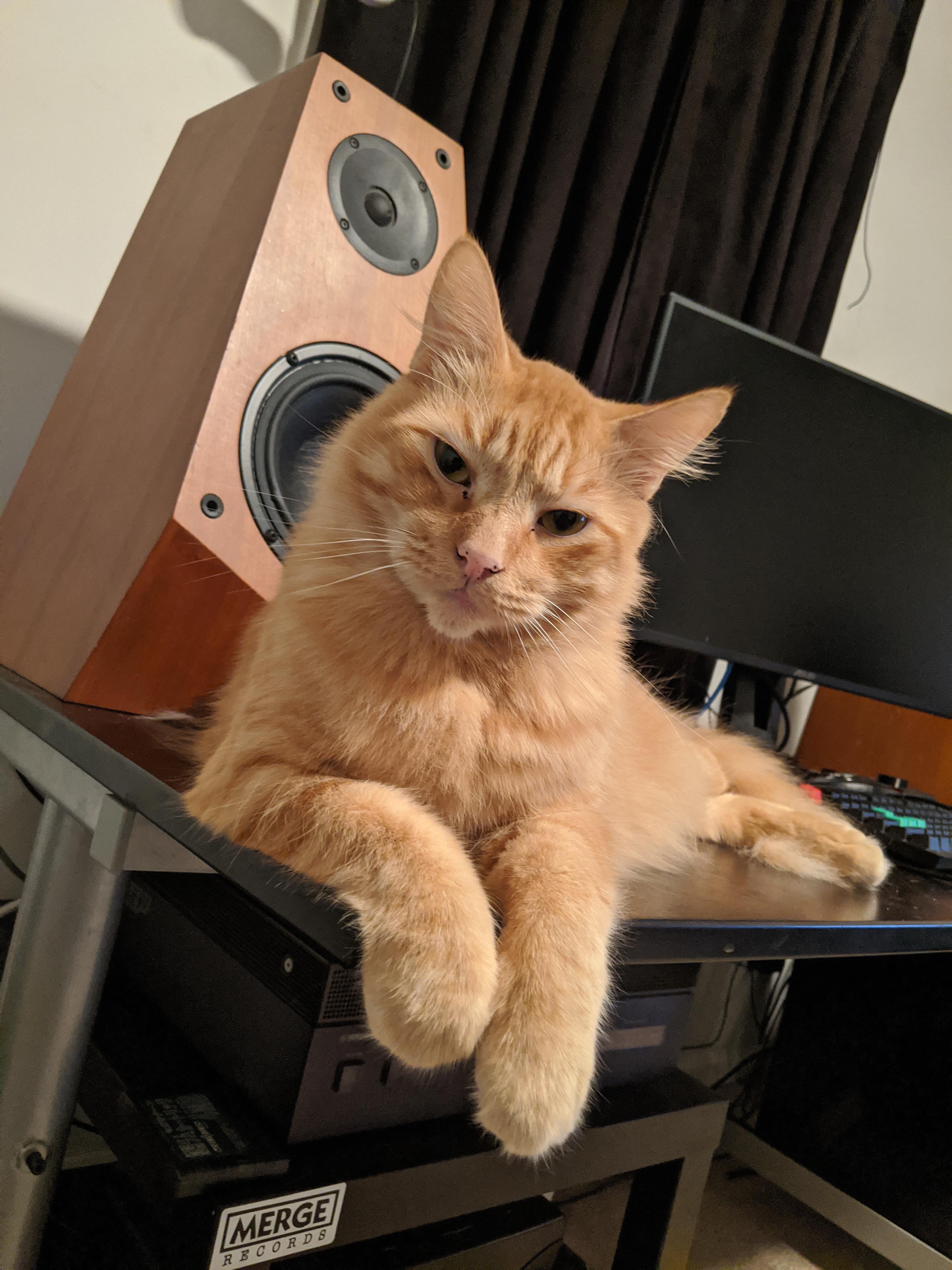 My boy Vincent, just because. | Scrolller