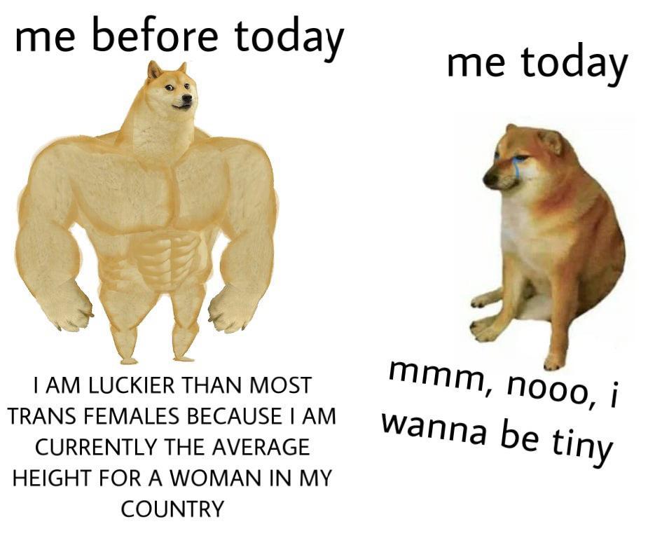 My brain is stupid | Scrolller