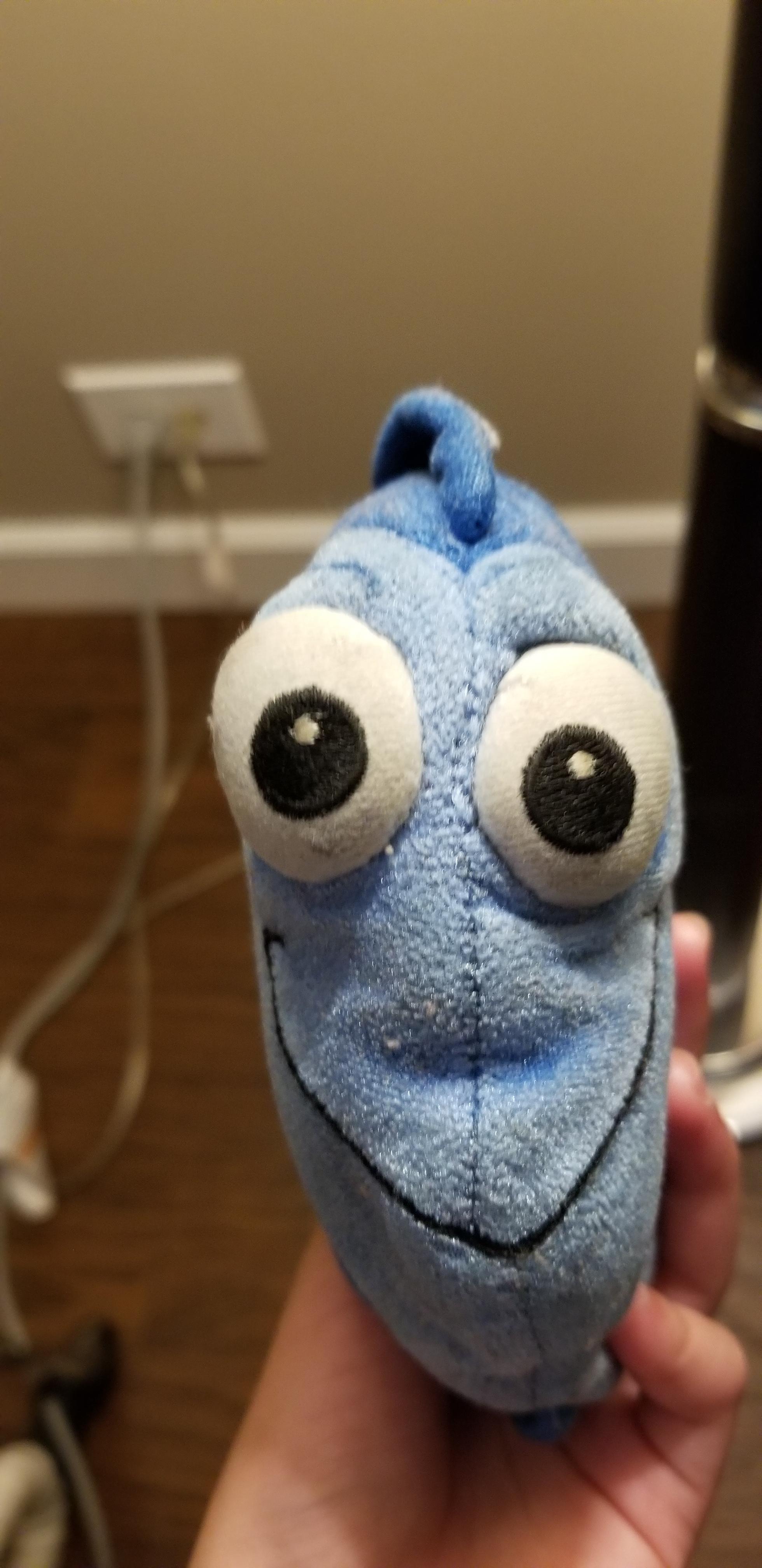 My brother's stuffed toy Dory looks like Momo | Scrolller