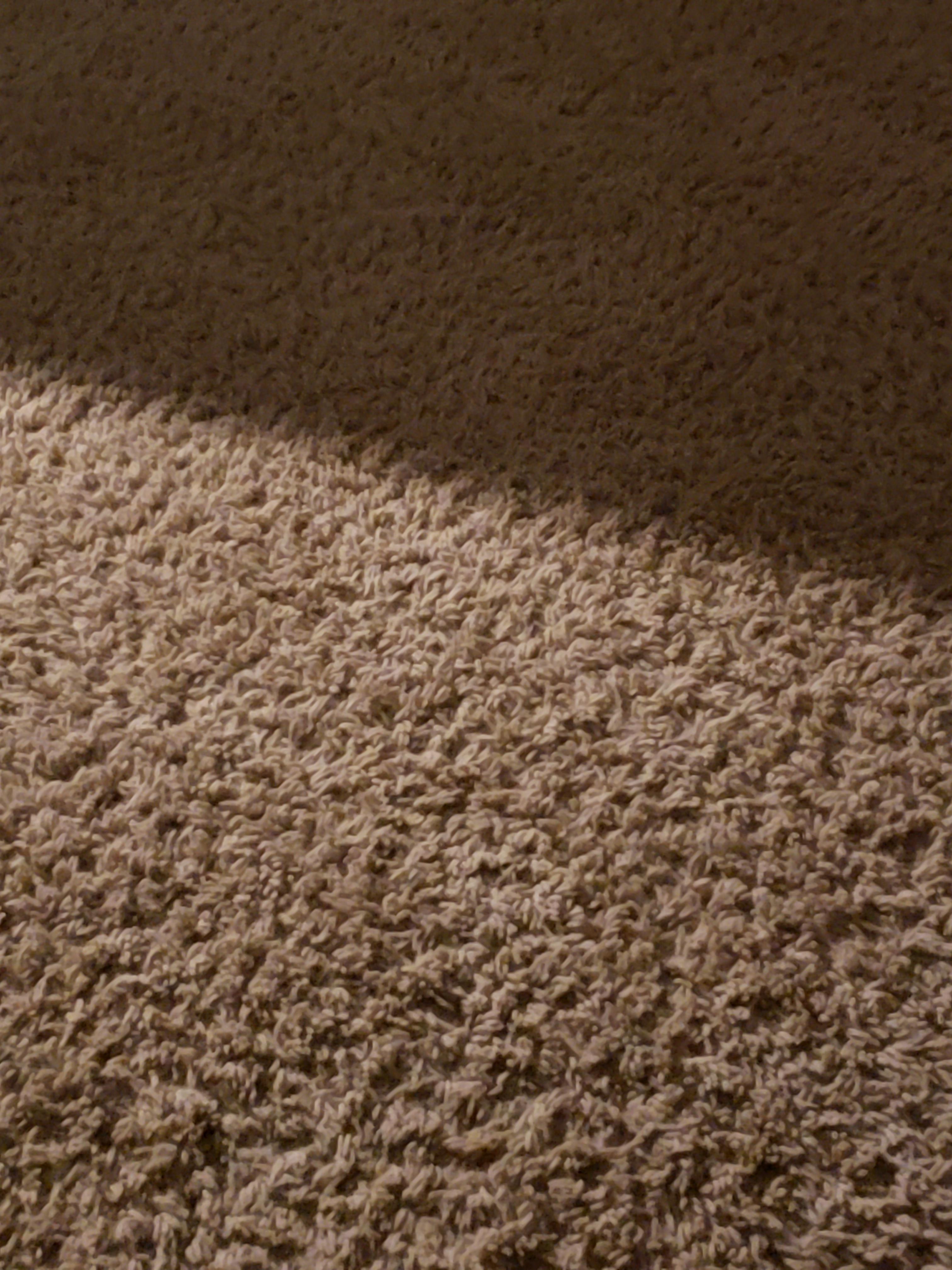 My carpet. | Scrolller