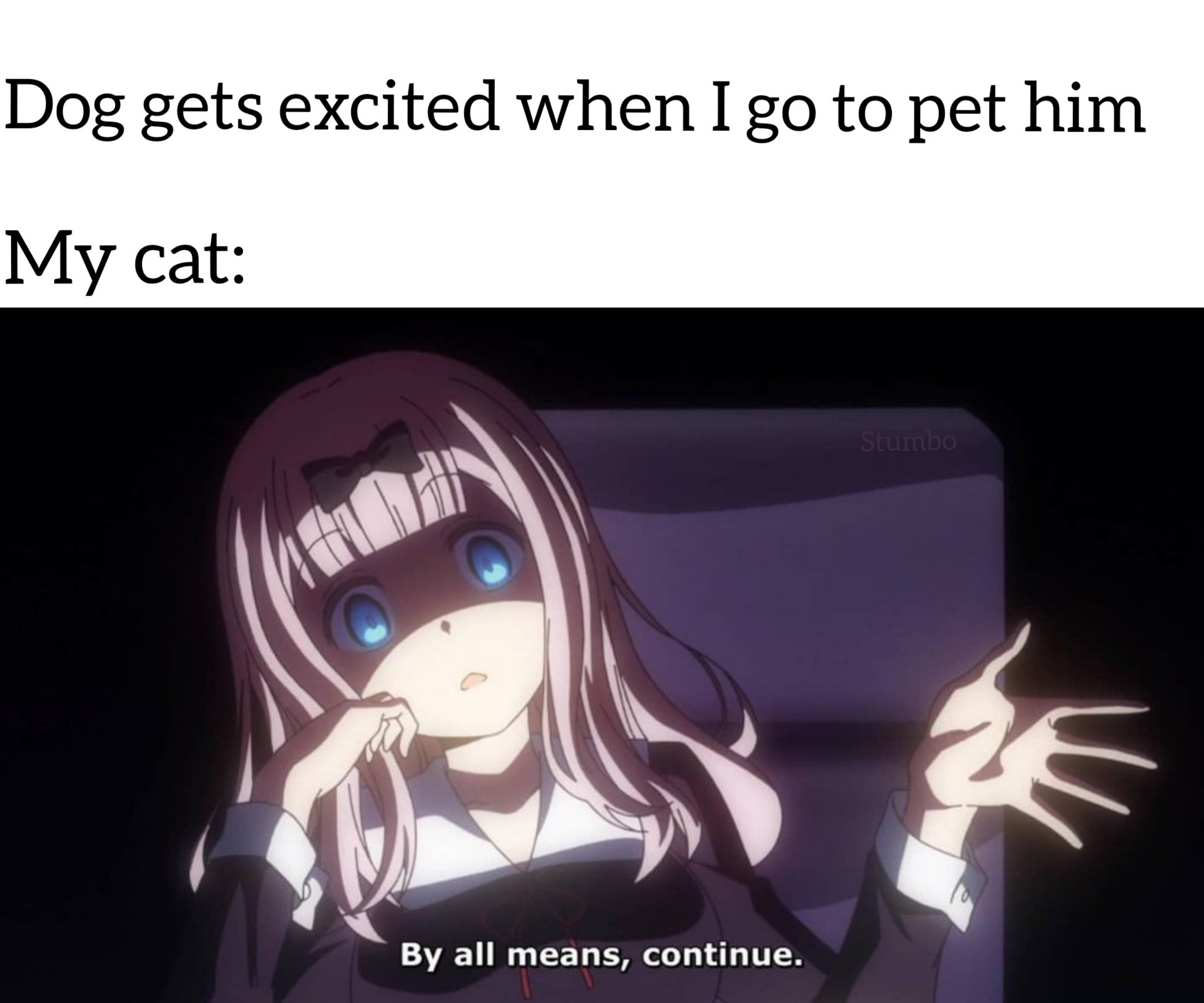 My Cat Doesnt Like Pats Scrolller