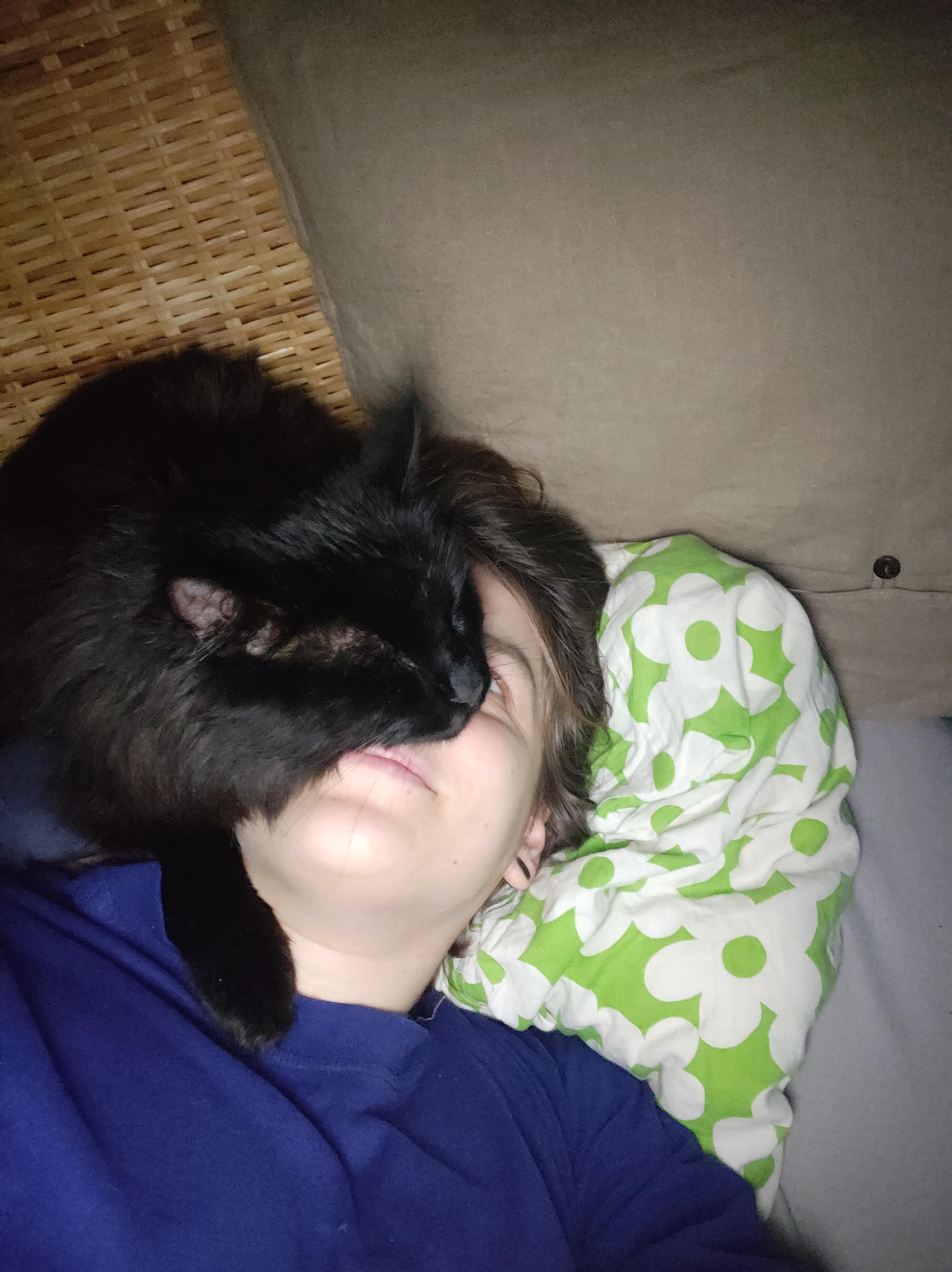 My cats chosen sleeping position | Scrolller