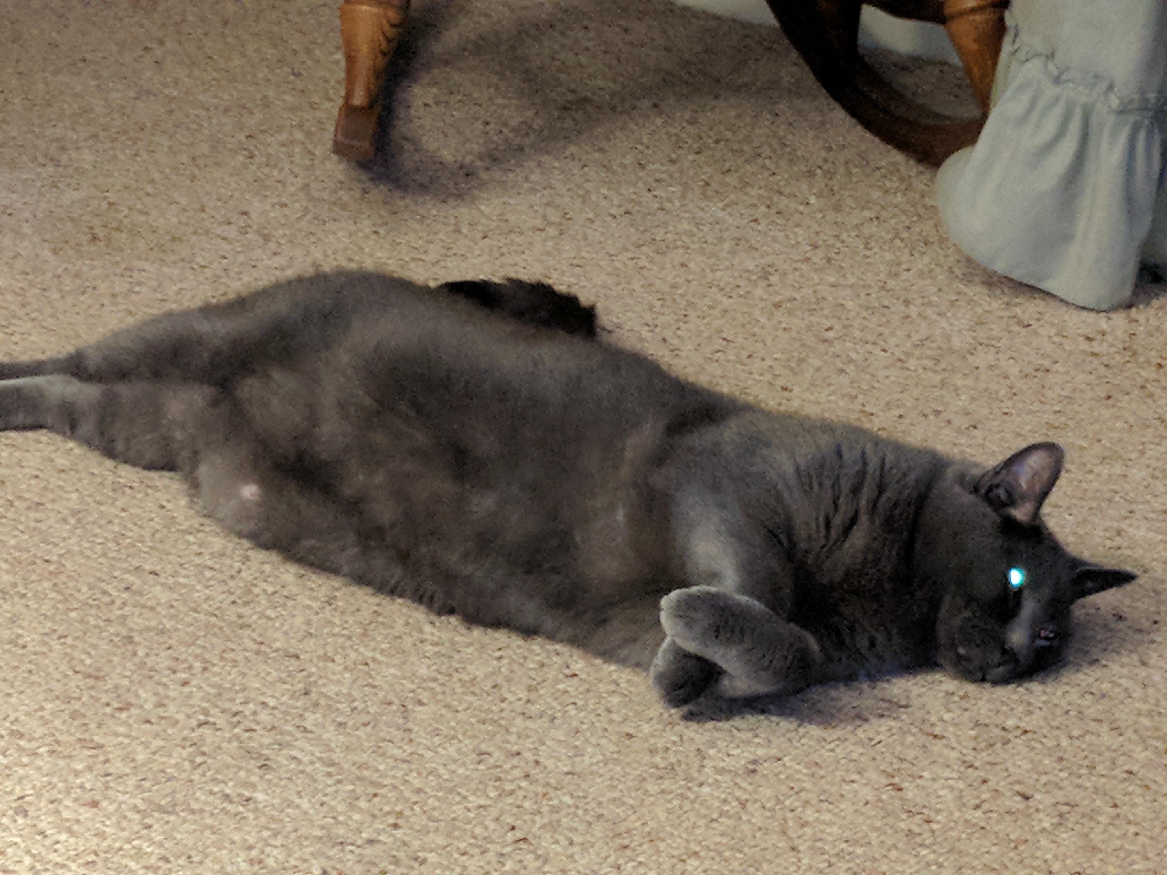 My chonky boi recharging | Scrolller