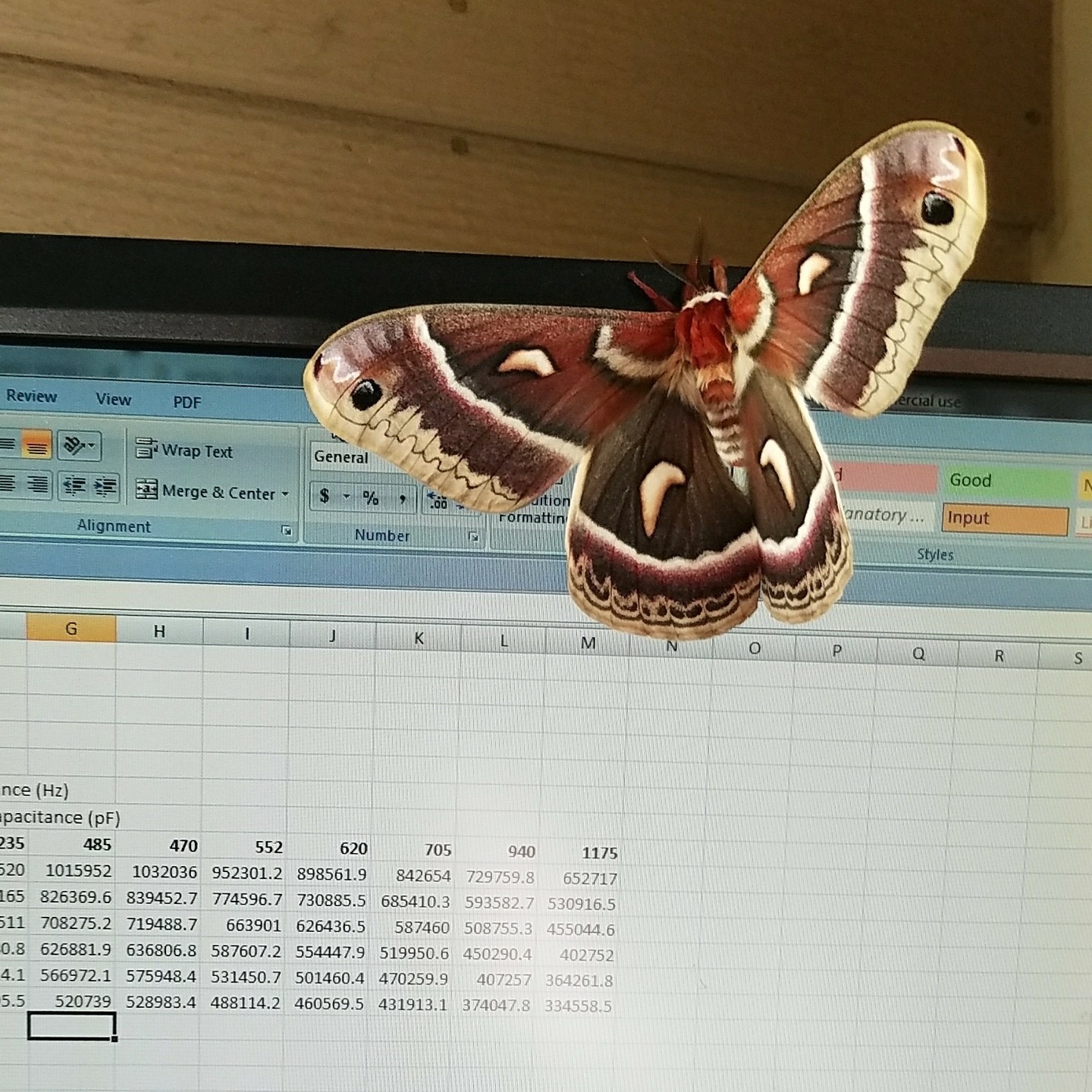 my computer has a bug | Scrolller